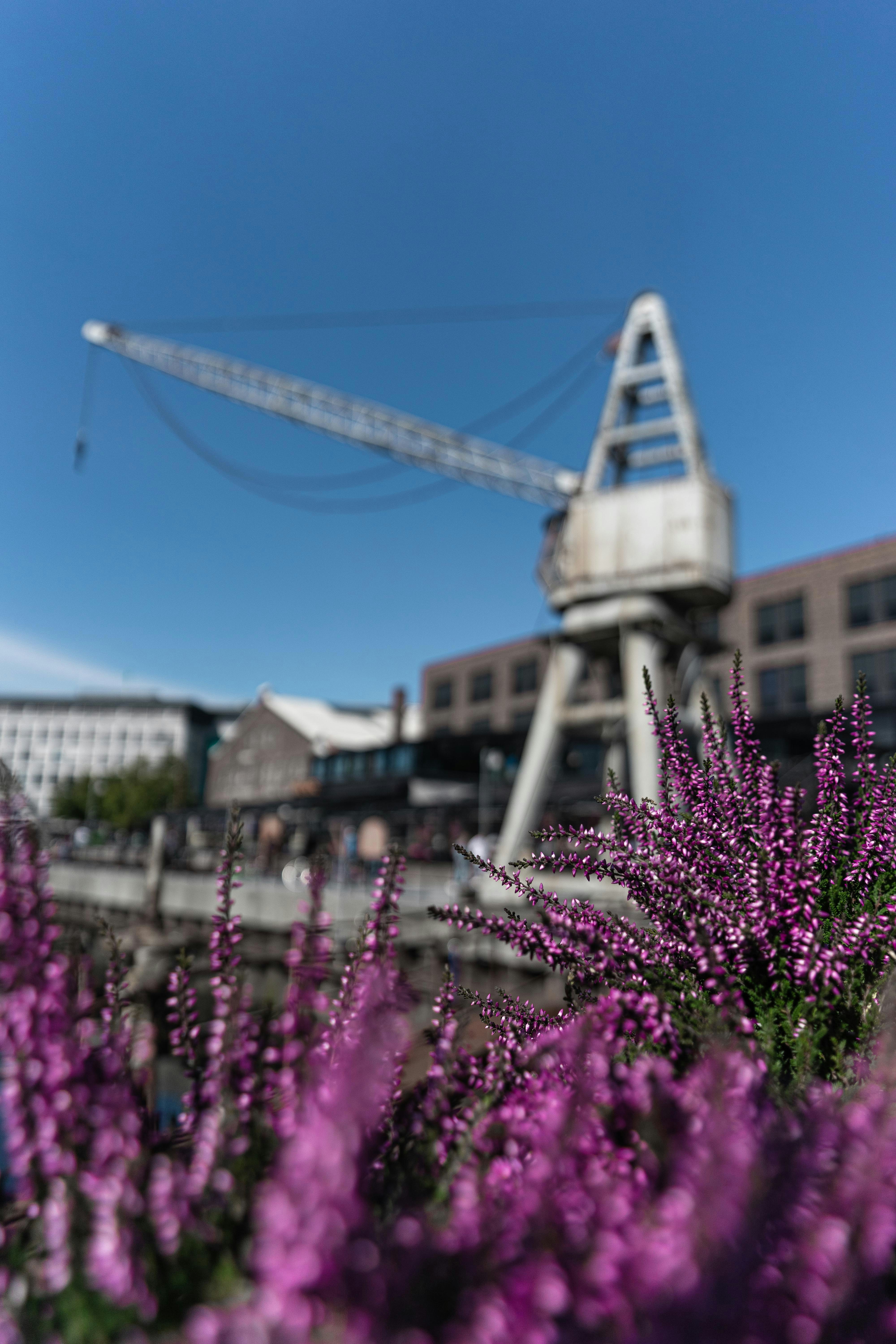 Old crane in harbor of Trondheim, Norway.