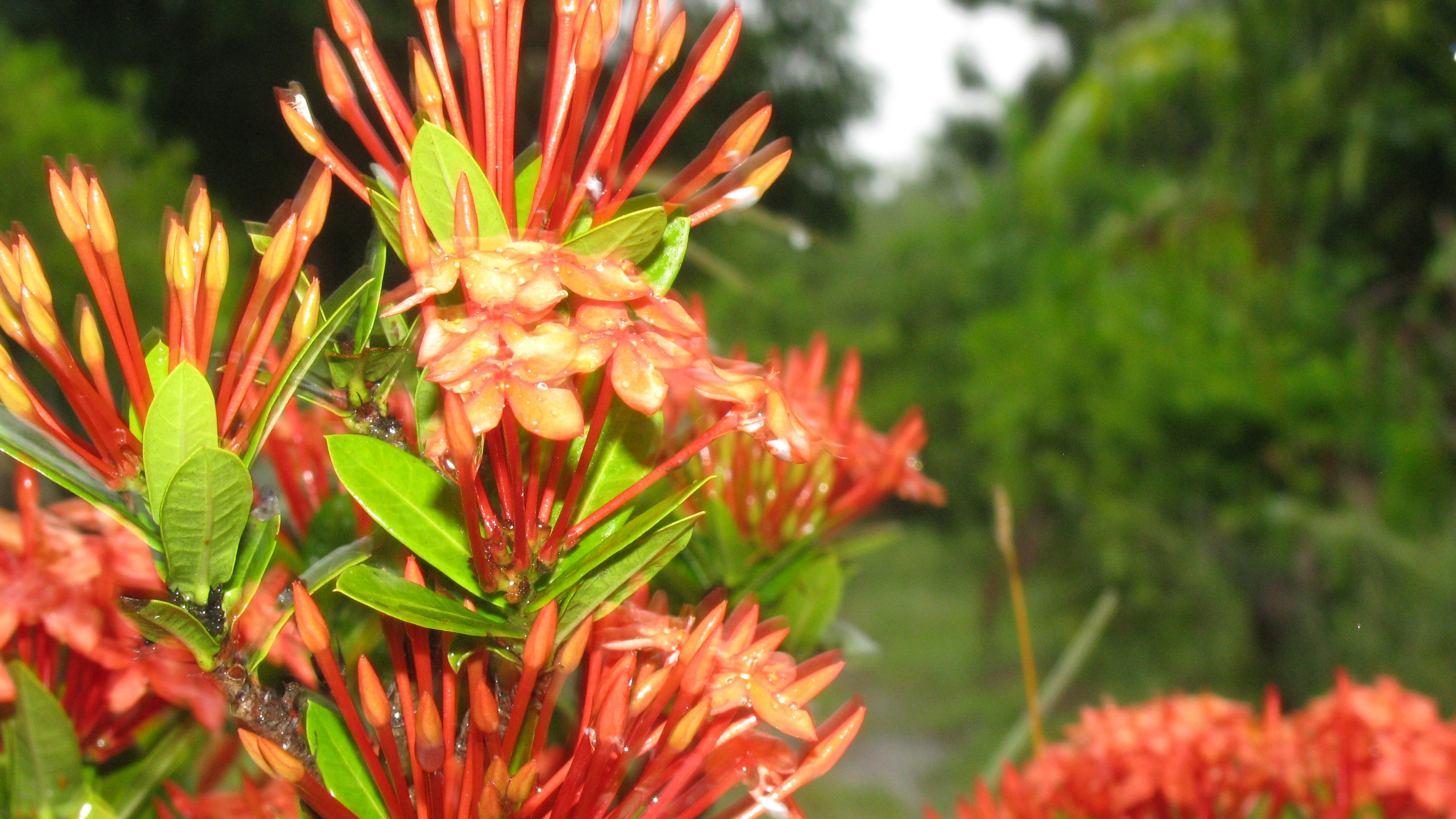 Melchior Damu (@alienking2000) | Komunitas Foto Unsplash