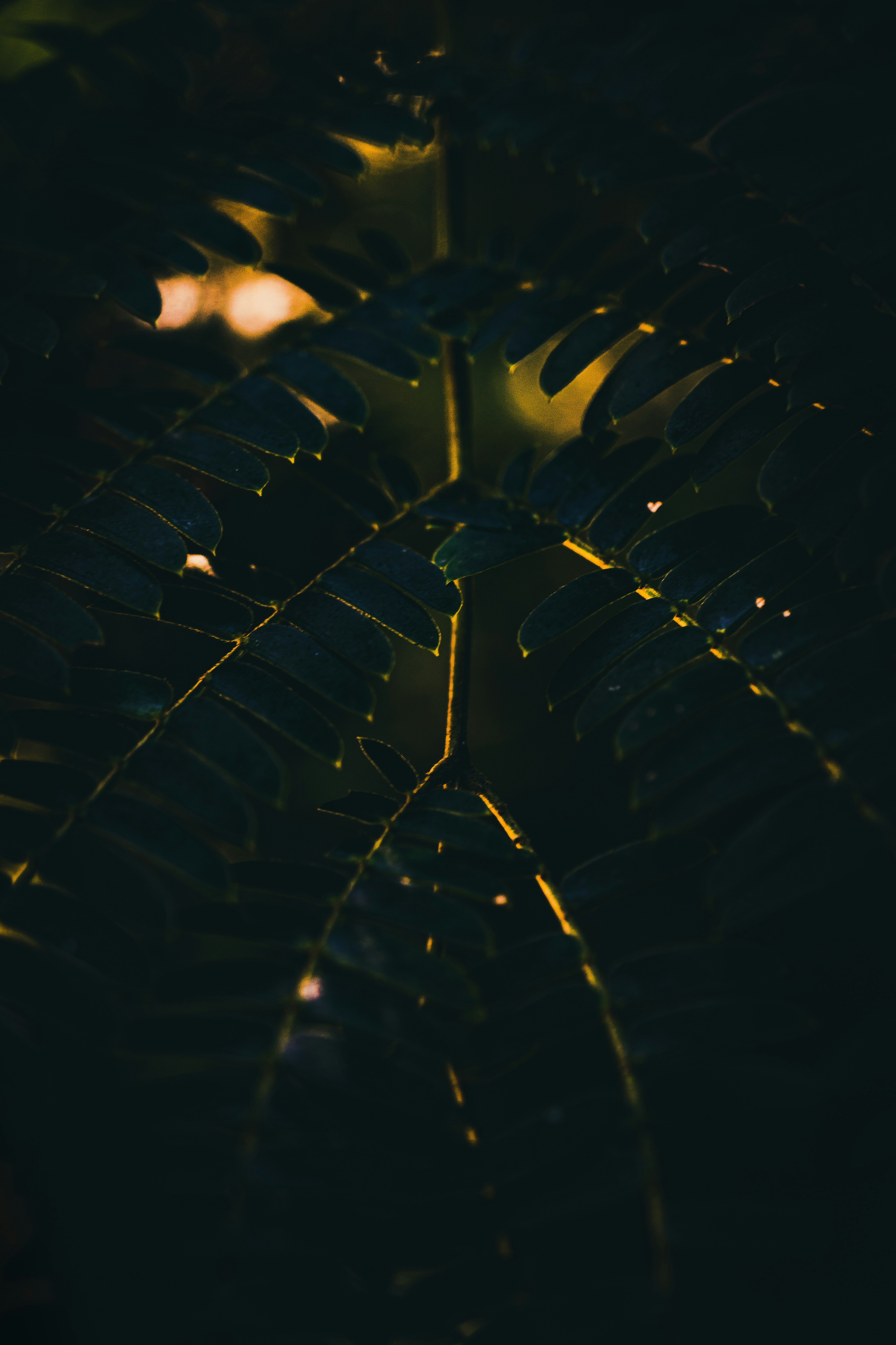A close up of a ferris wheel photo – Free Texture Image on Unsplash