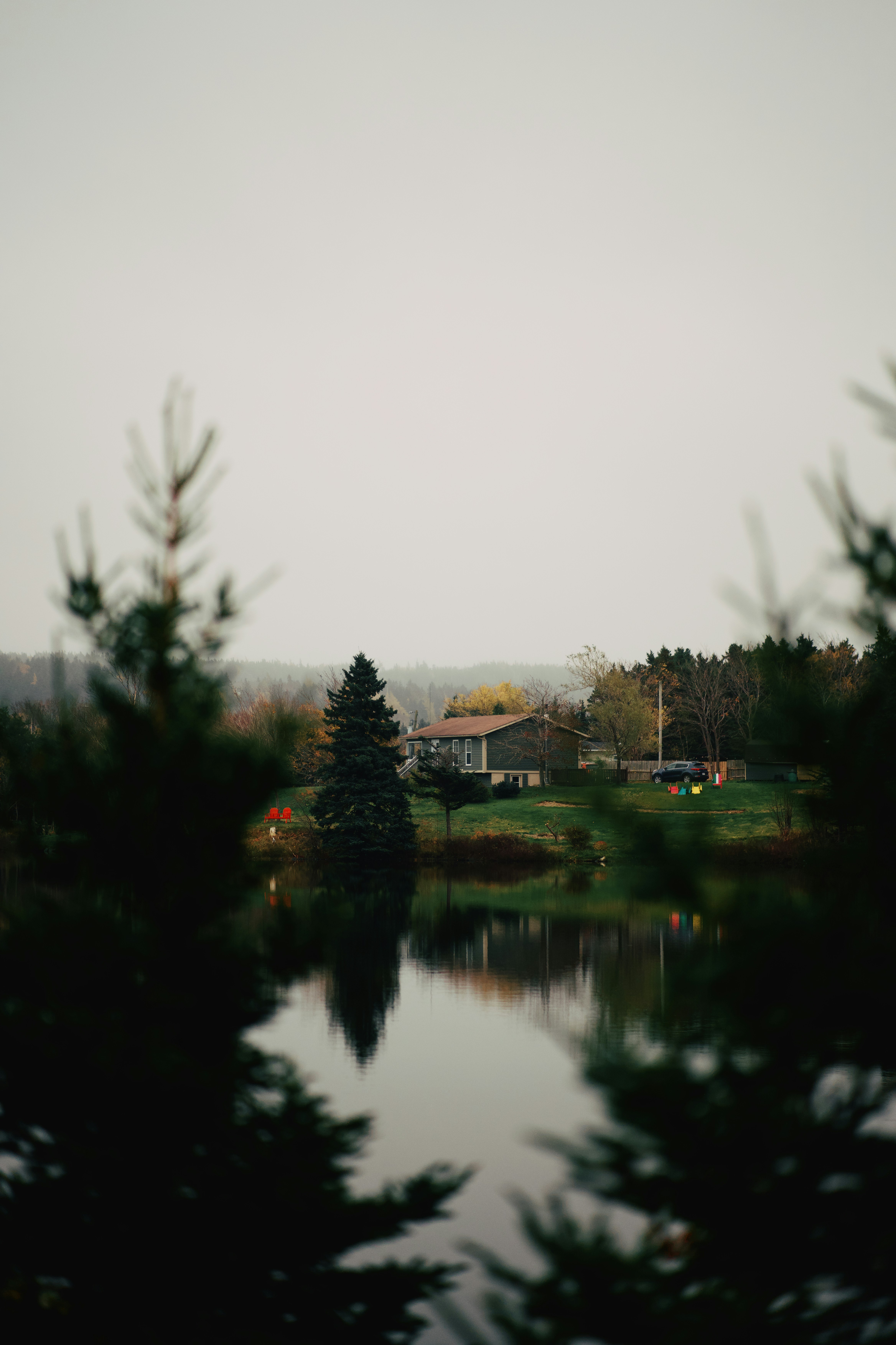 Lakeside Retreat Framed by Quiet Pines