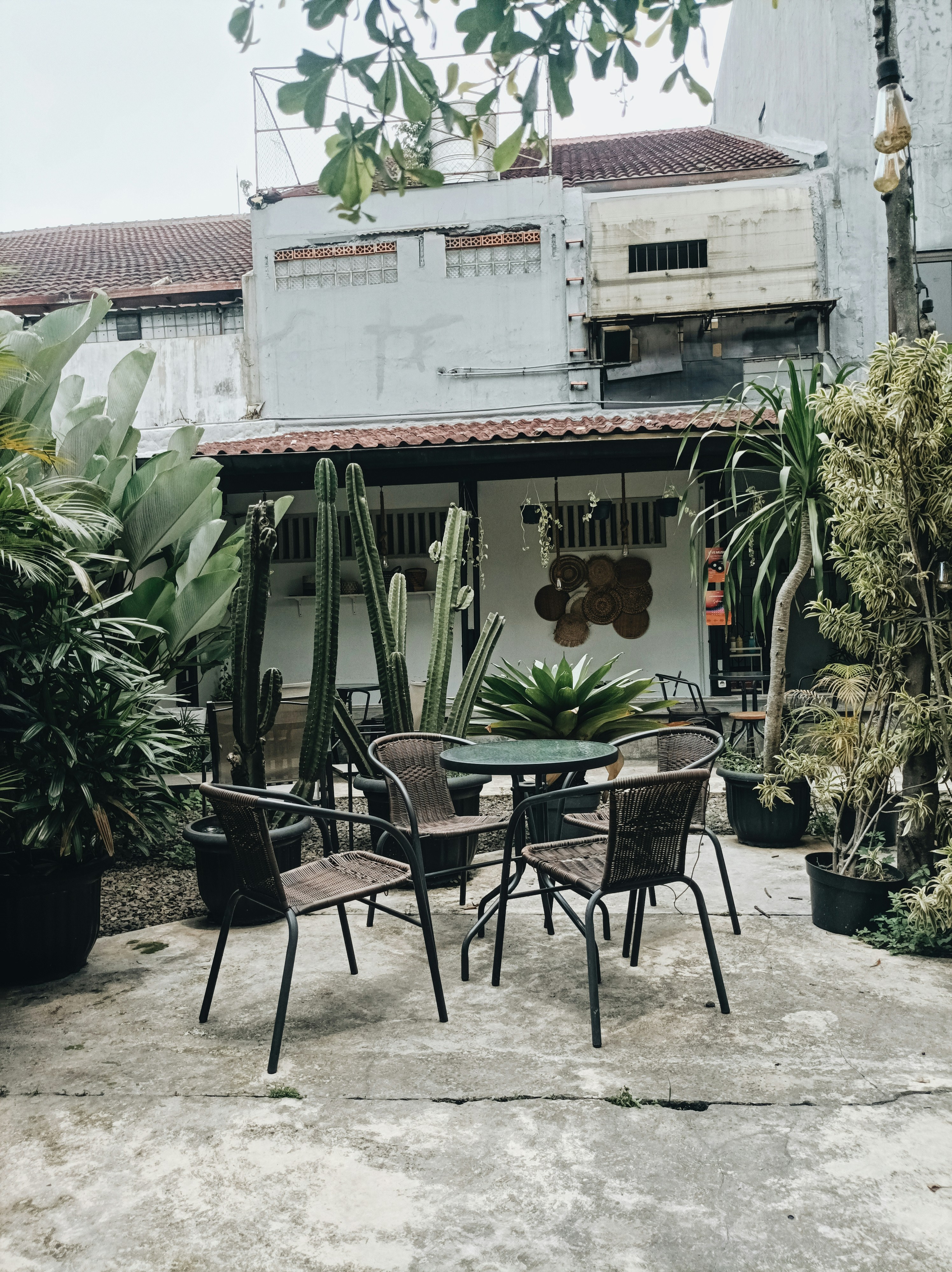 A cozy outdoor seating area surrounded by lush plants and cacti, inviting relaxation in a hidden urban garden.