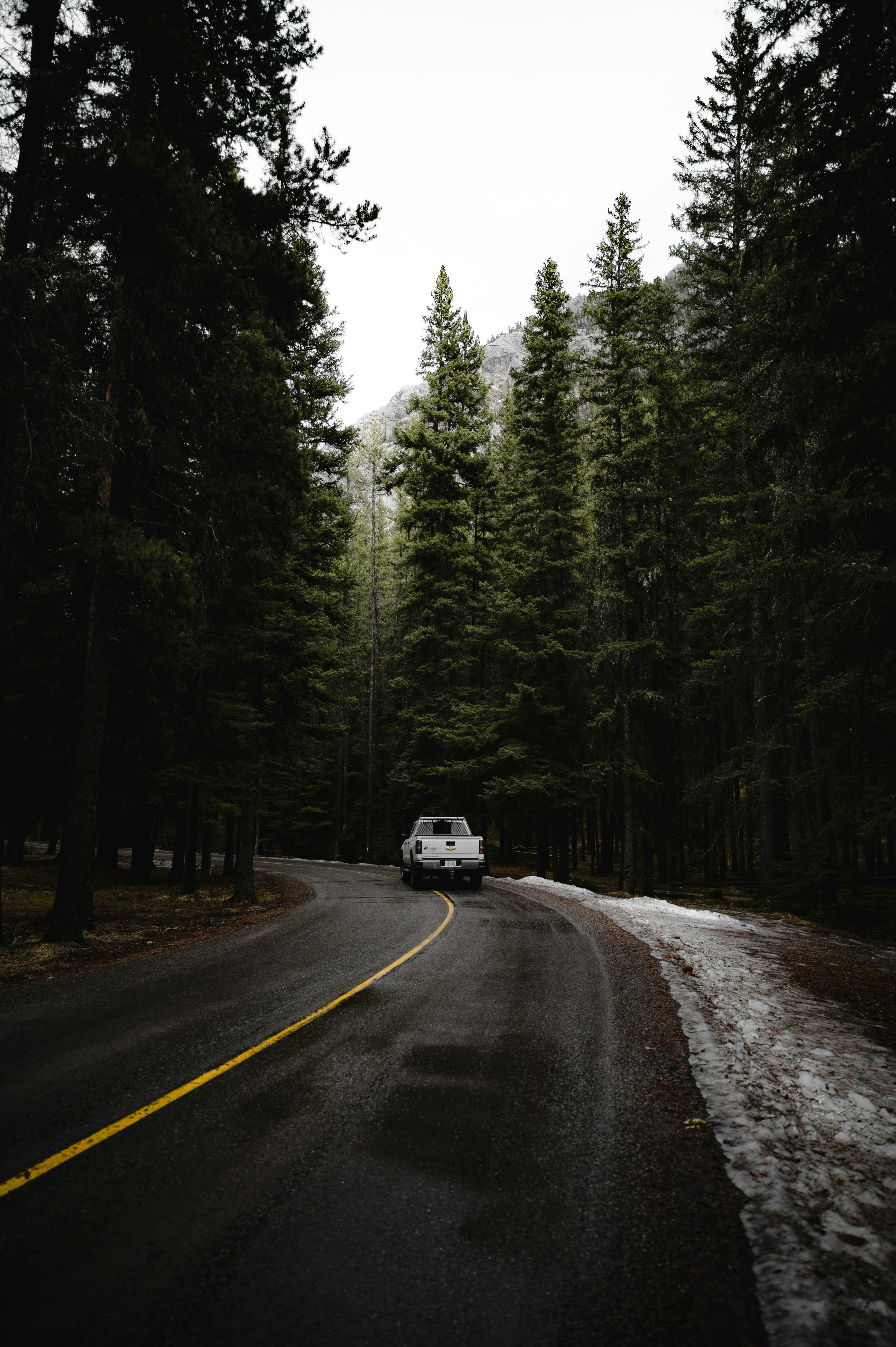 A white car driving down a road surrounded by trees photo – Free Ab ...