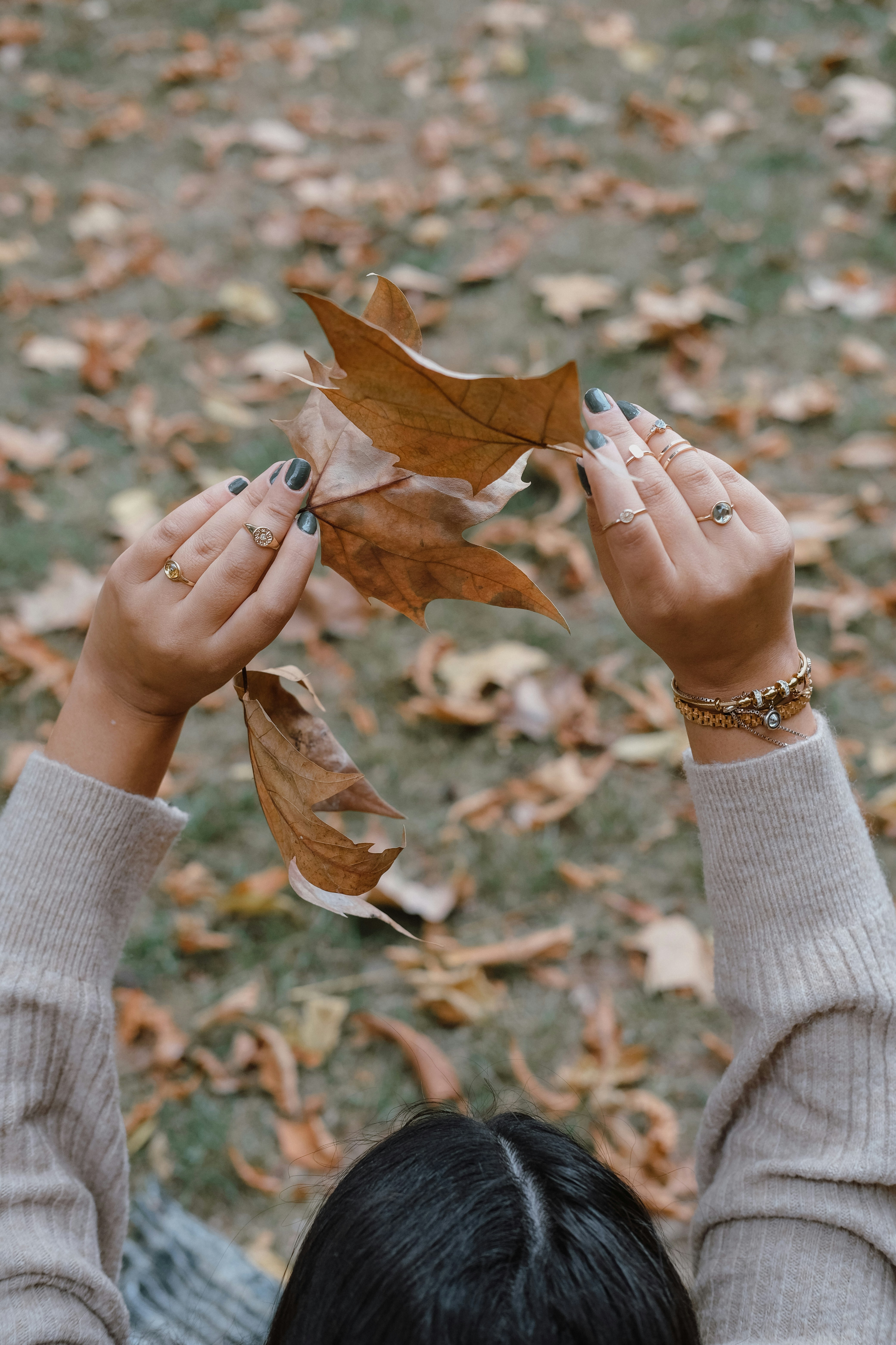 Autumn Gesture: Hands Lift a Copper Maple Leaf Over a Leaf-Strewn Ground