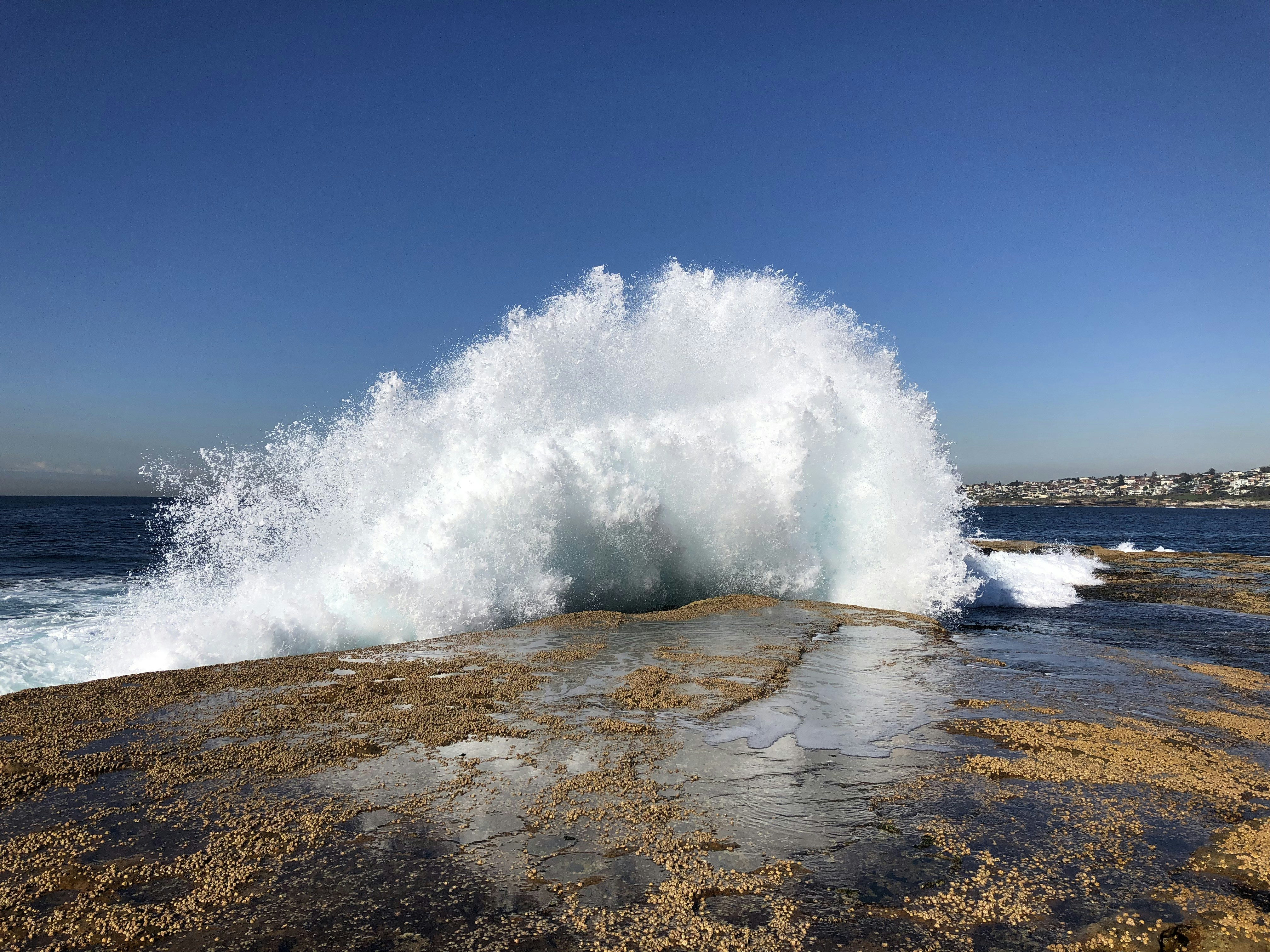 Vagues s’écrasant sur une plage photo – Photo Pointe de requin Gratuite ...