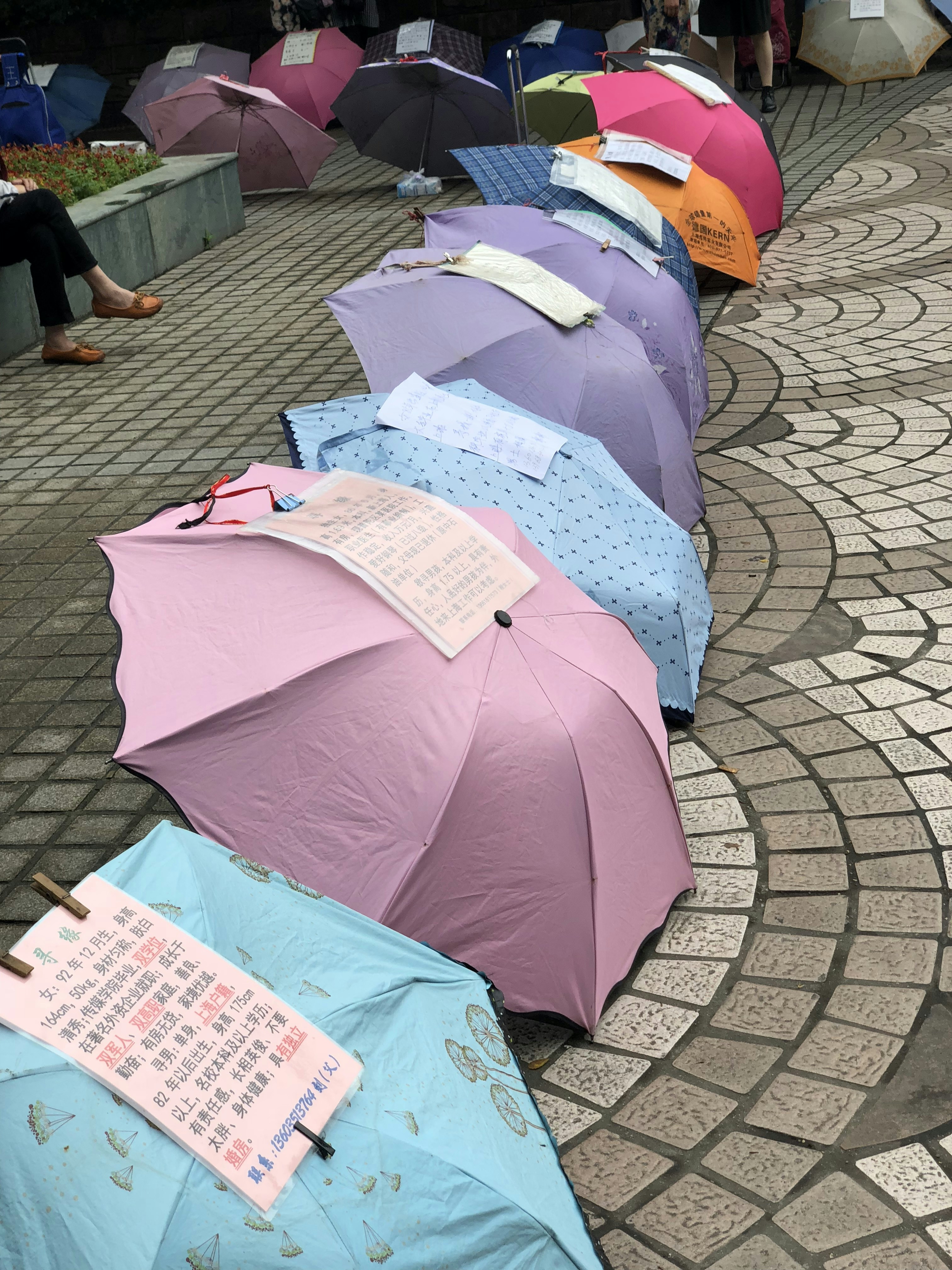 A group of umbrellas are lined up on the ground photo – Free Image on ...