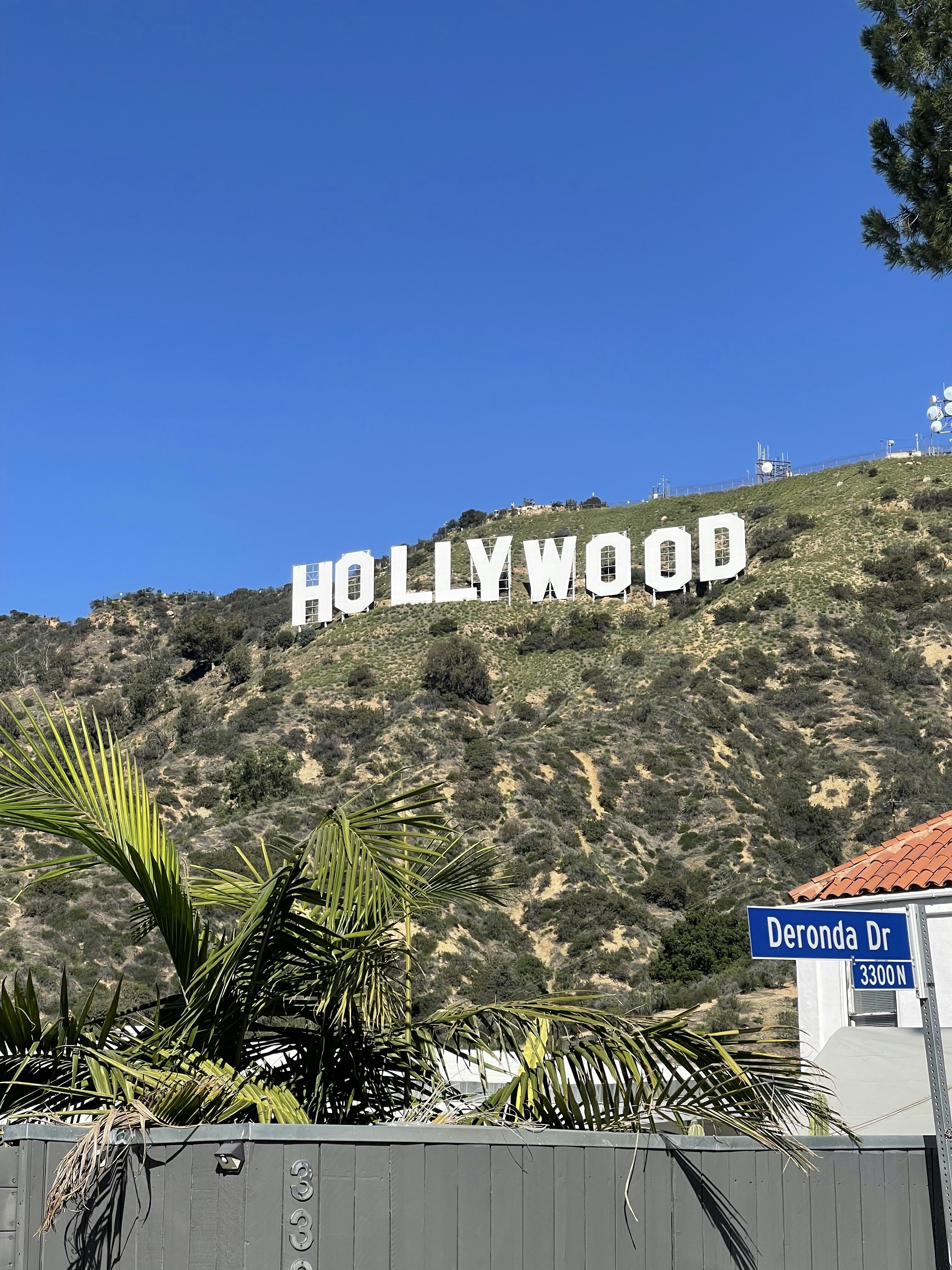 The Hollywood sign looms over the landscape, framed by lush greenery and a clear blue sky. A street sign adds context to the urban setting.
