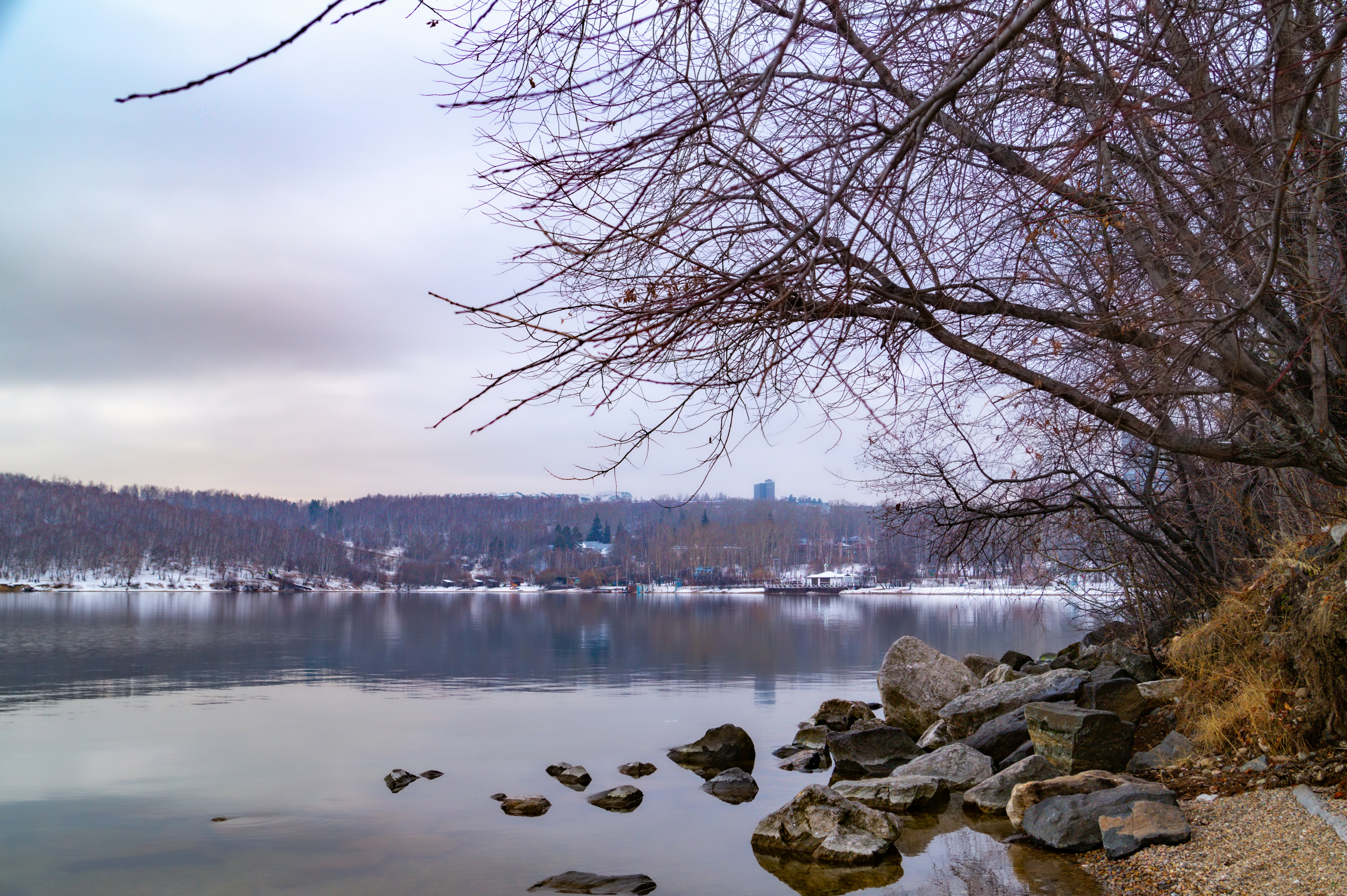 Calm lake with rocky shore and bare trees under a cloudy sky.