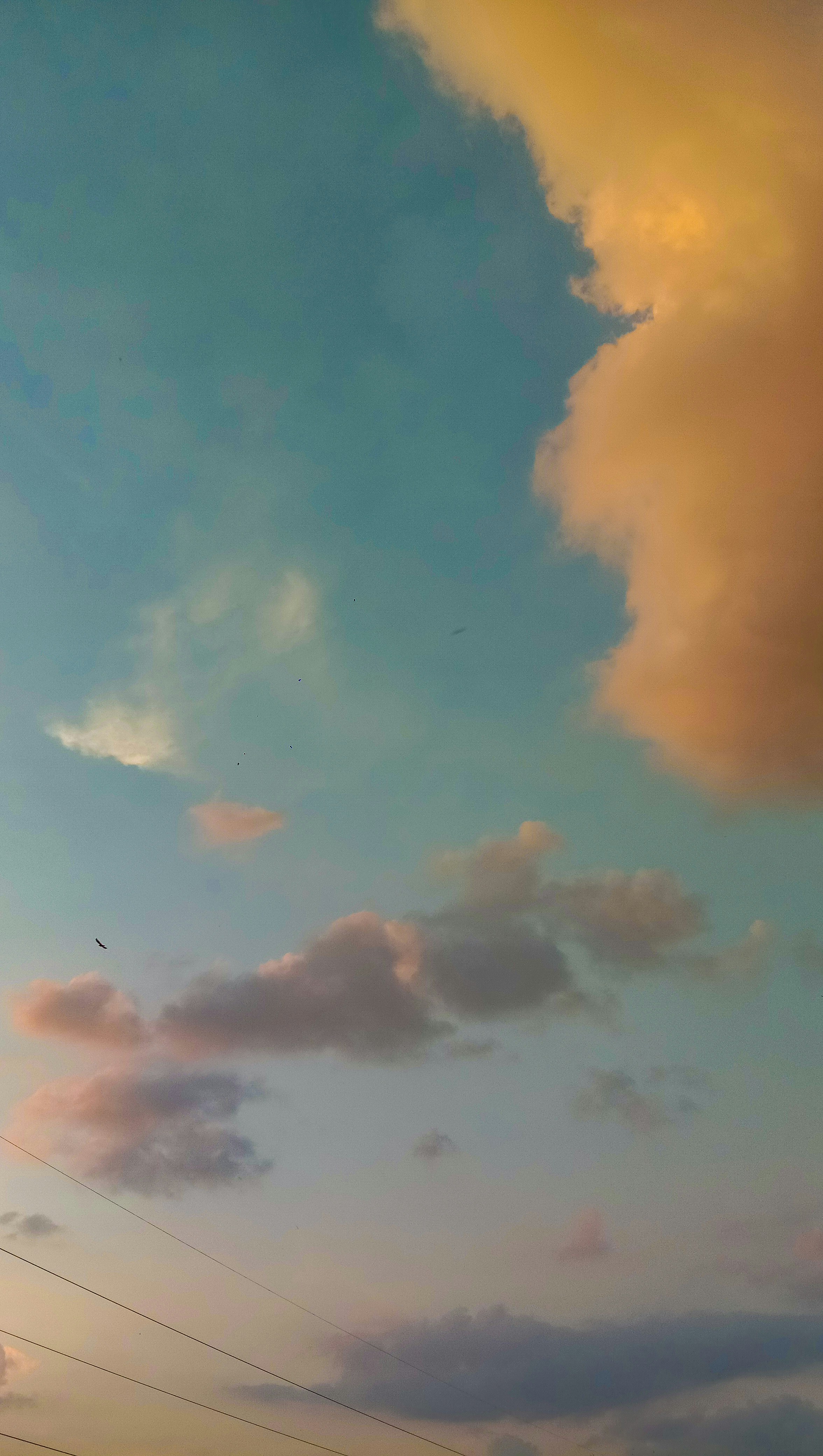 Sky Portrait: Morning Clouds Painted in Warm Hues