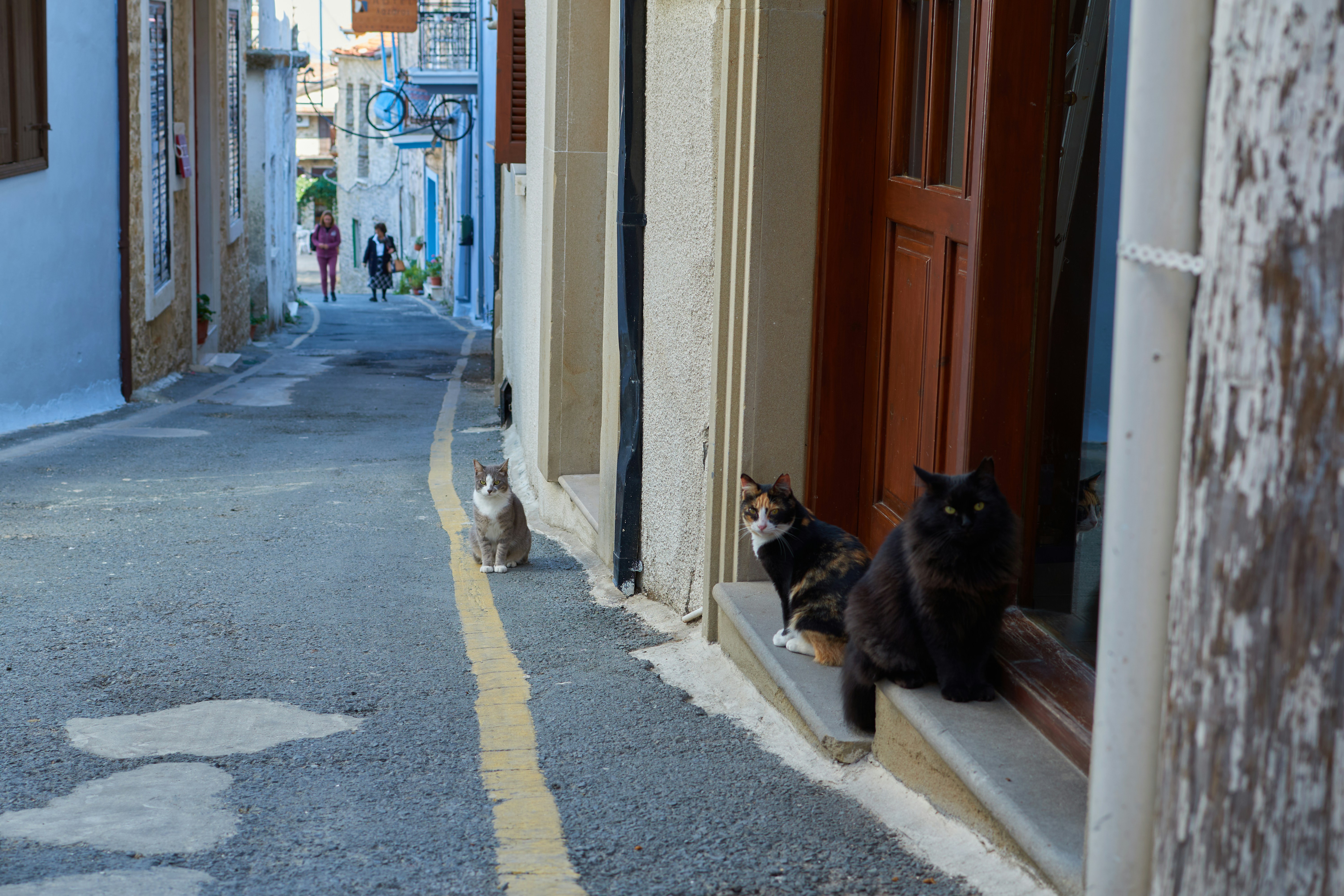 Photo by Alexander Chupikov with Nikon D5600