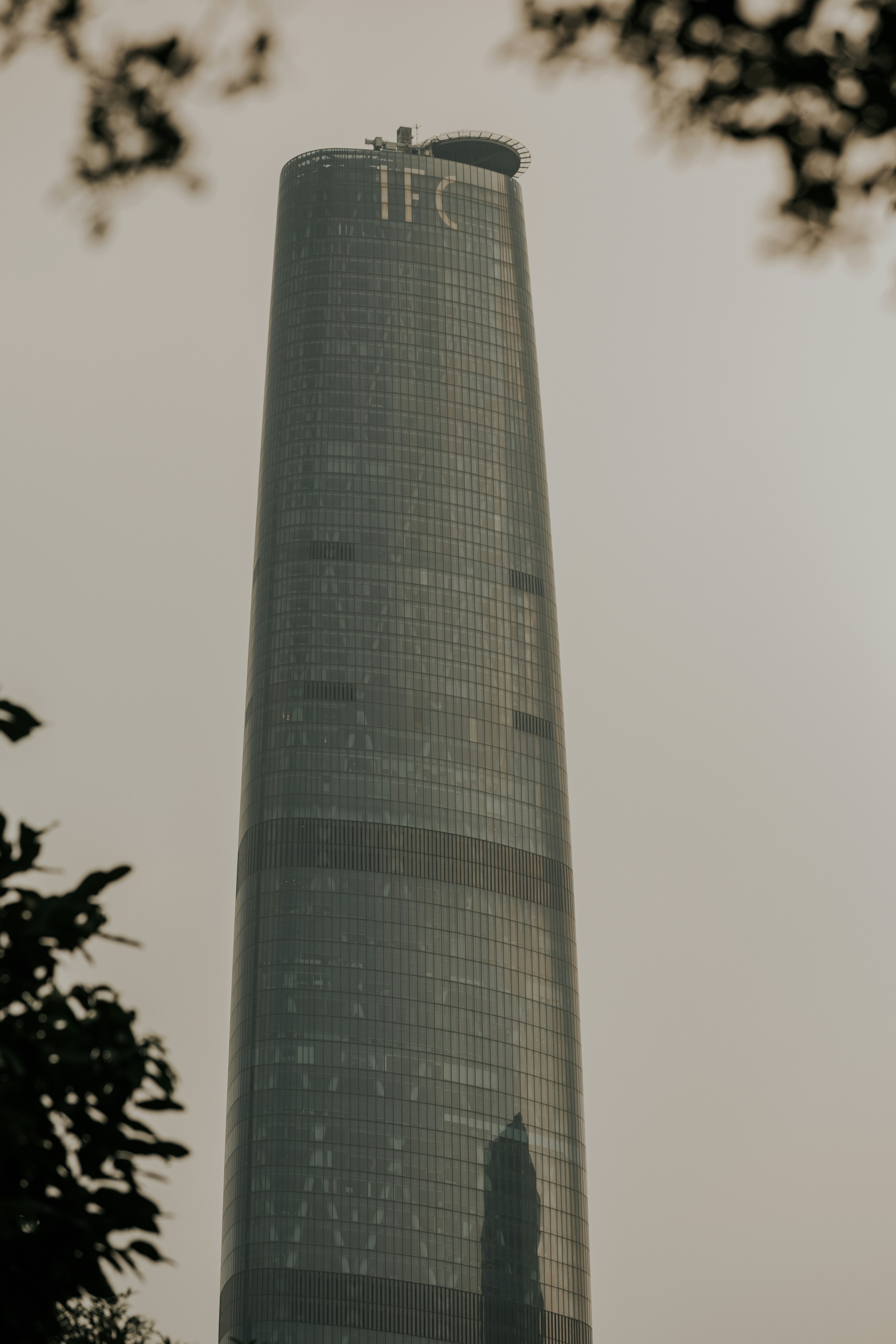 Tall skyscraper with reflective glass facade and an 'IFC' sign, partially obscured by foliage in the foreground.