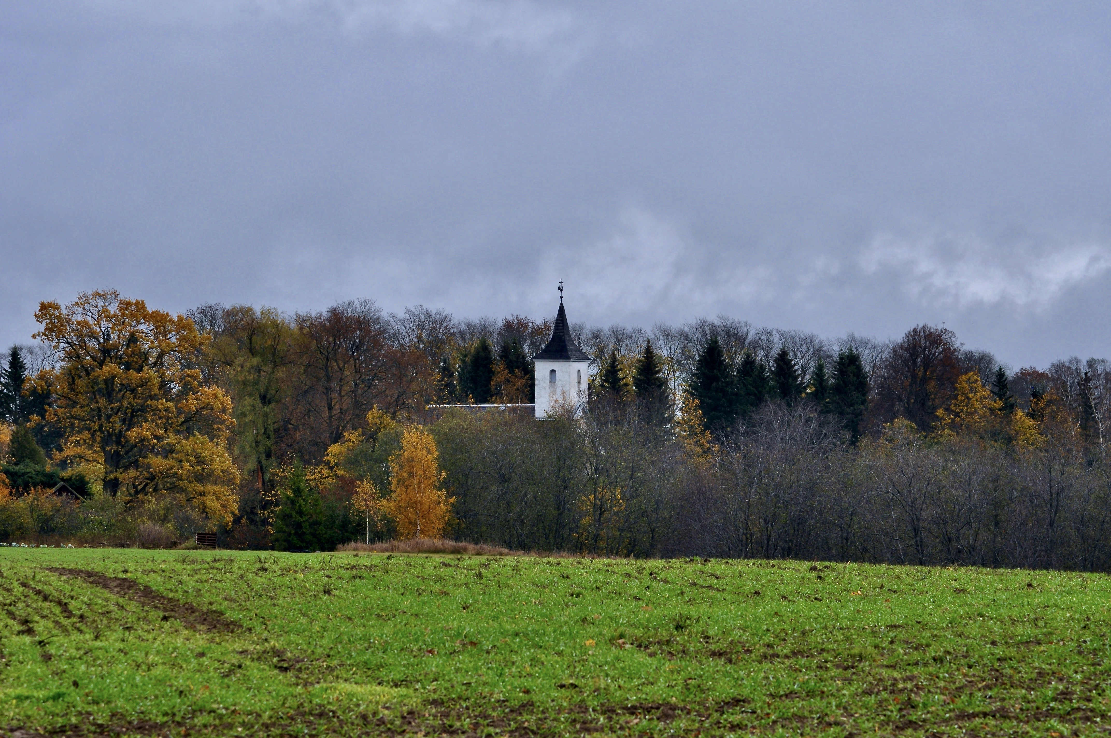 A building with a tower surrounded by trees photo – Free Toila parish ...