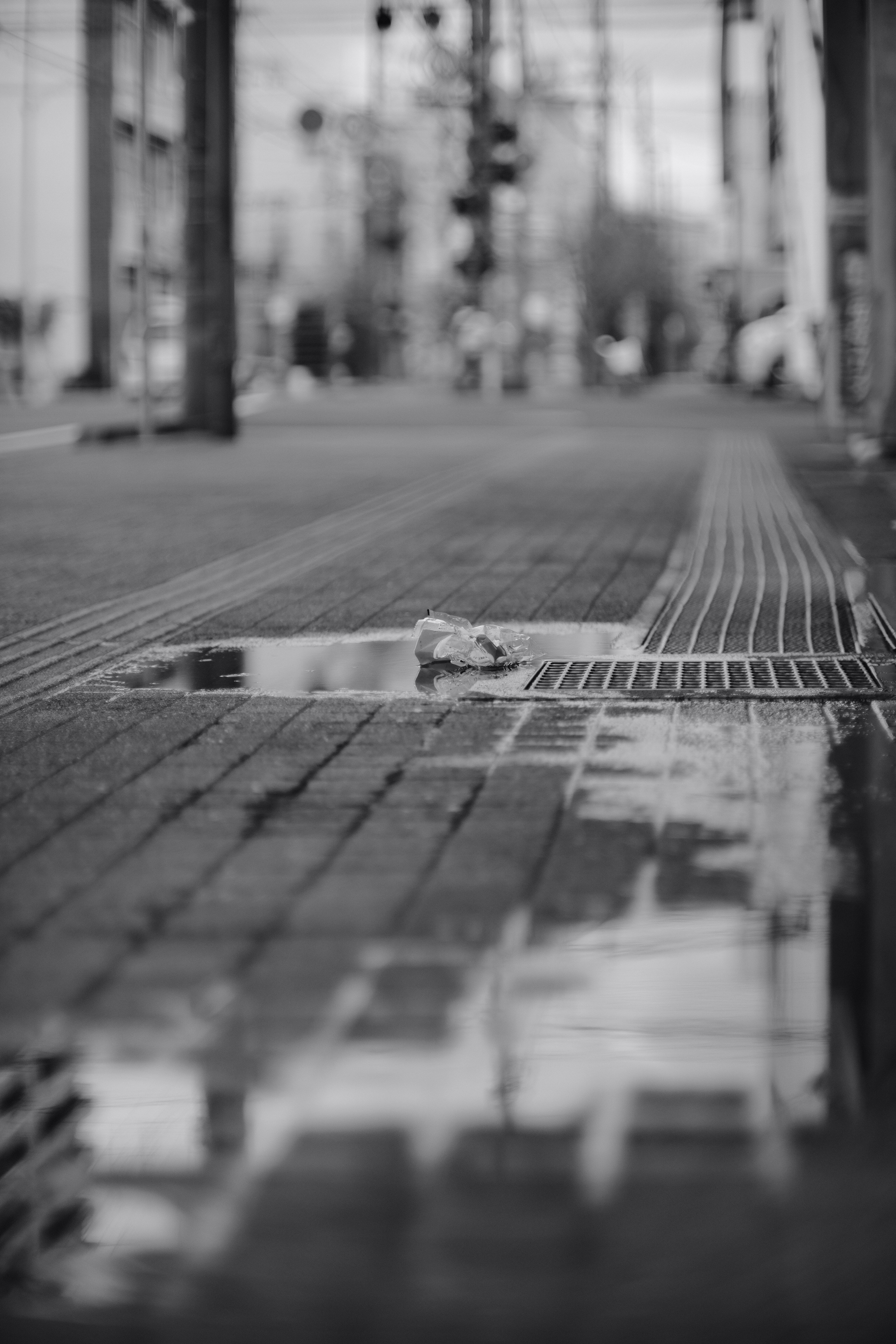 Crumbled Paper, Rain-Washed Street: A Quiet City Moment
