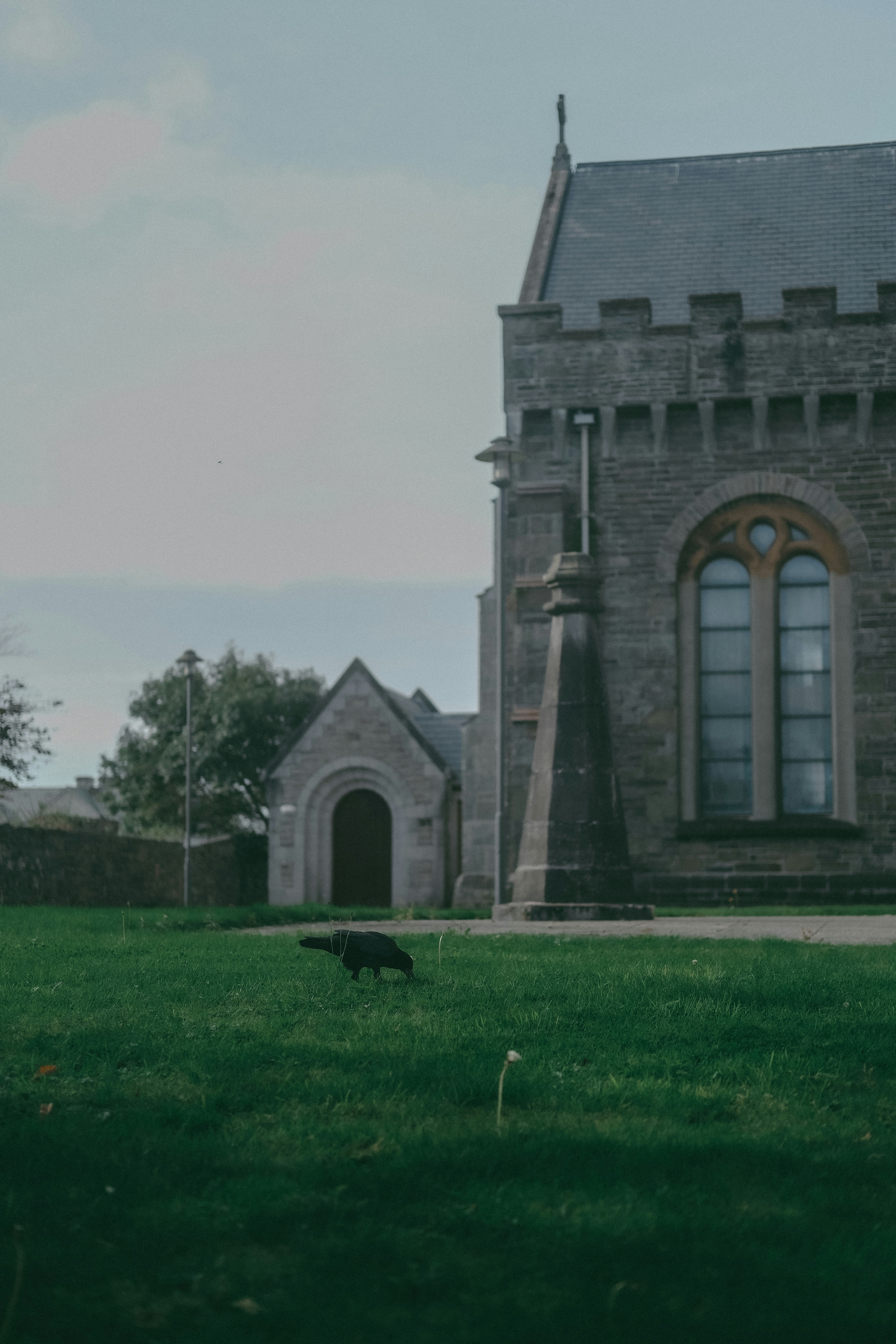 Cat in the Cloister Lawn: A Quiet Moment by the Stone Chapel