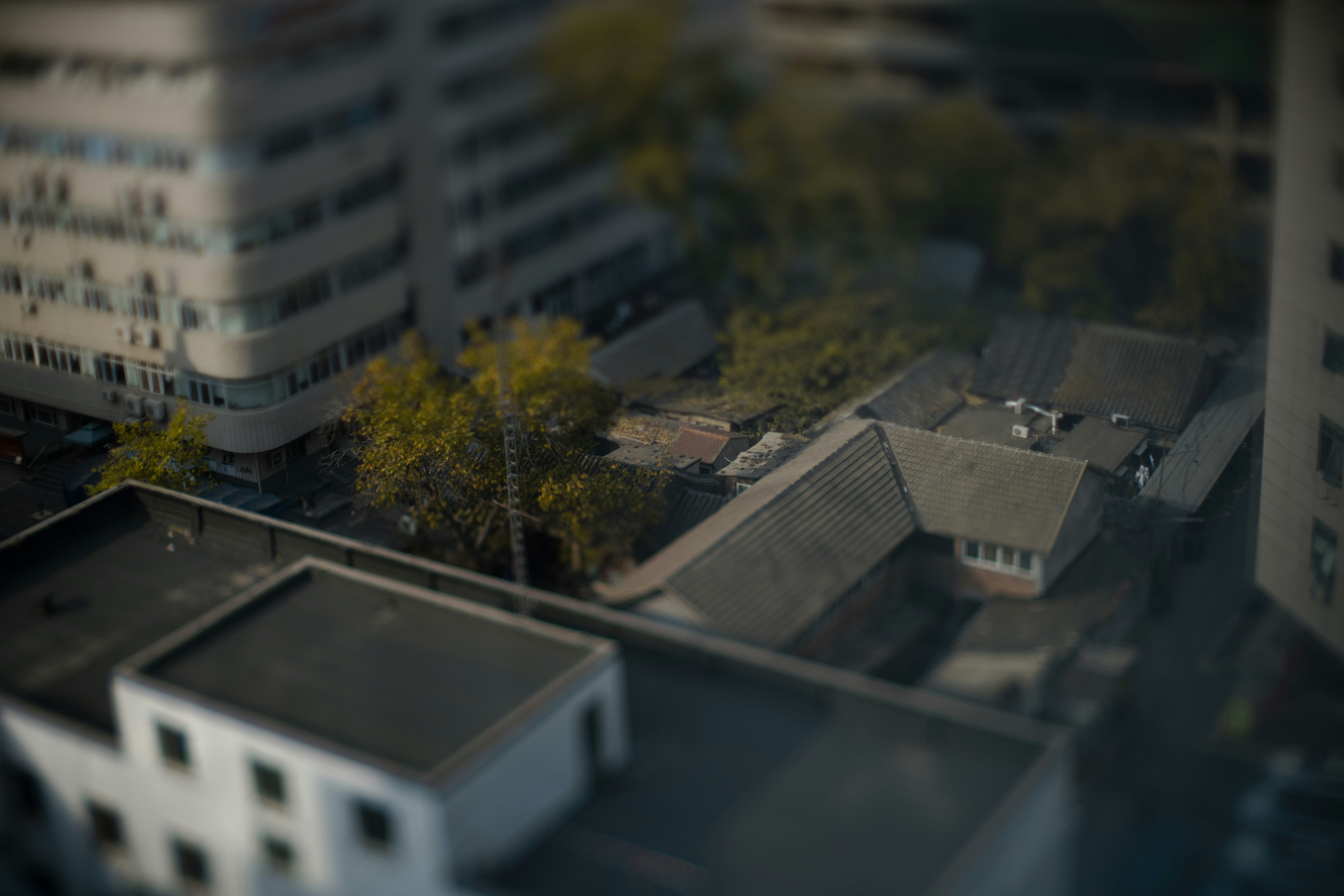 Karminski-牙医 (@karminski) | Comunidade de fotos da Unsplash