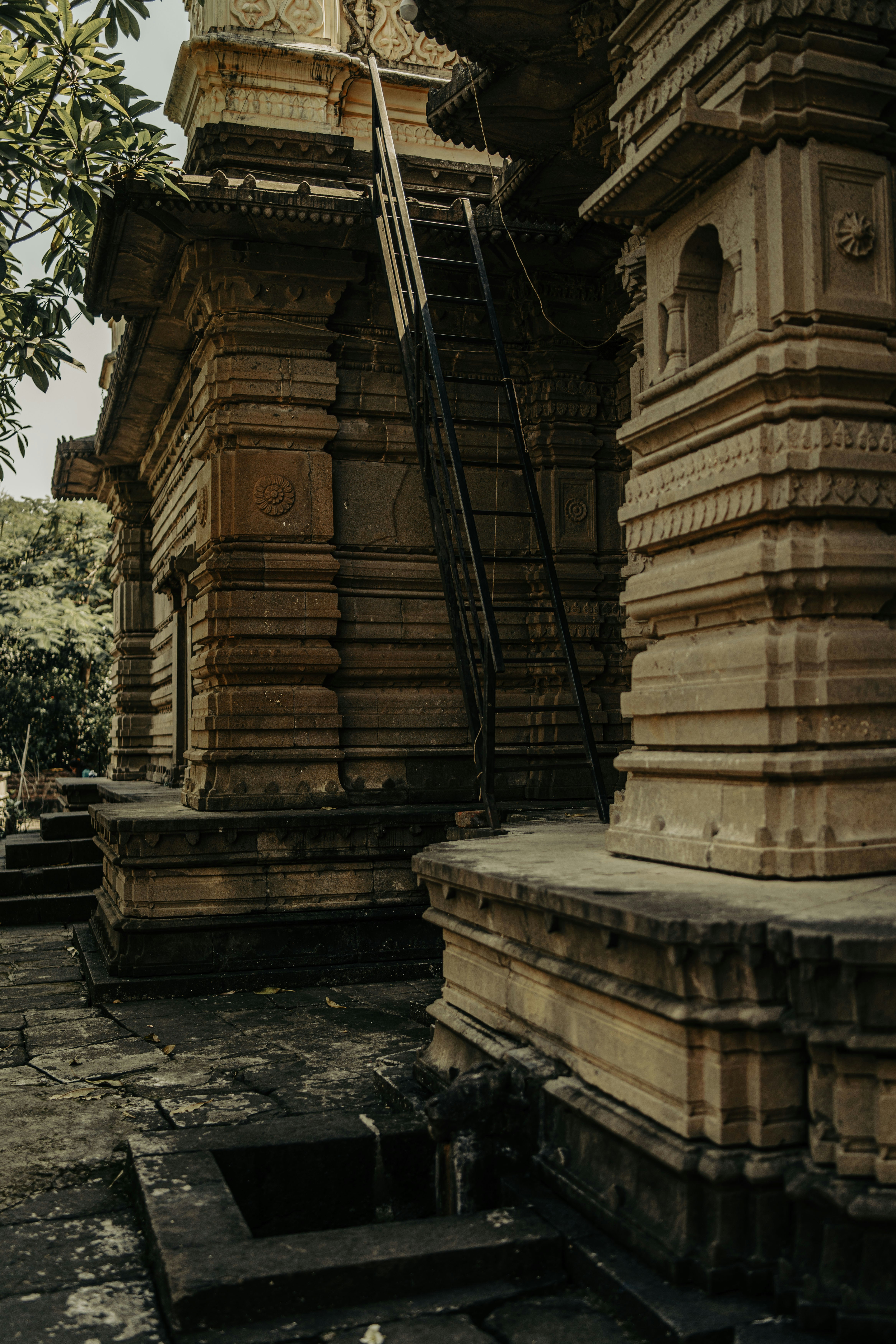 Ladder Against the Carved Temple: A Quiet Ascent Among Stone Columns