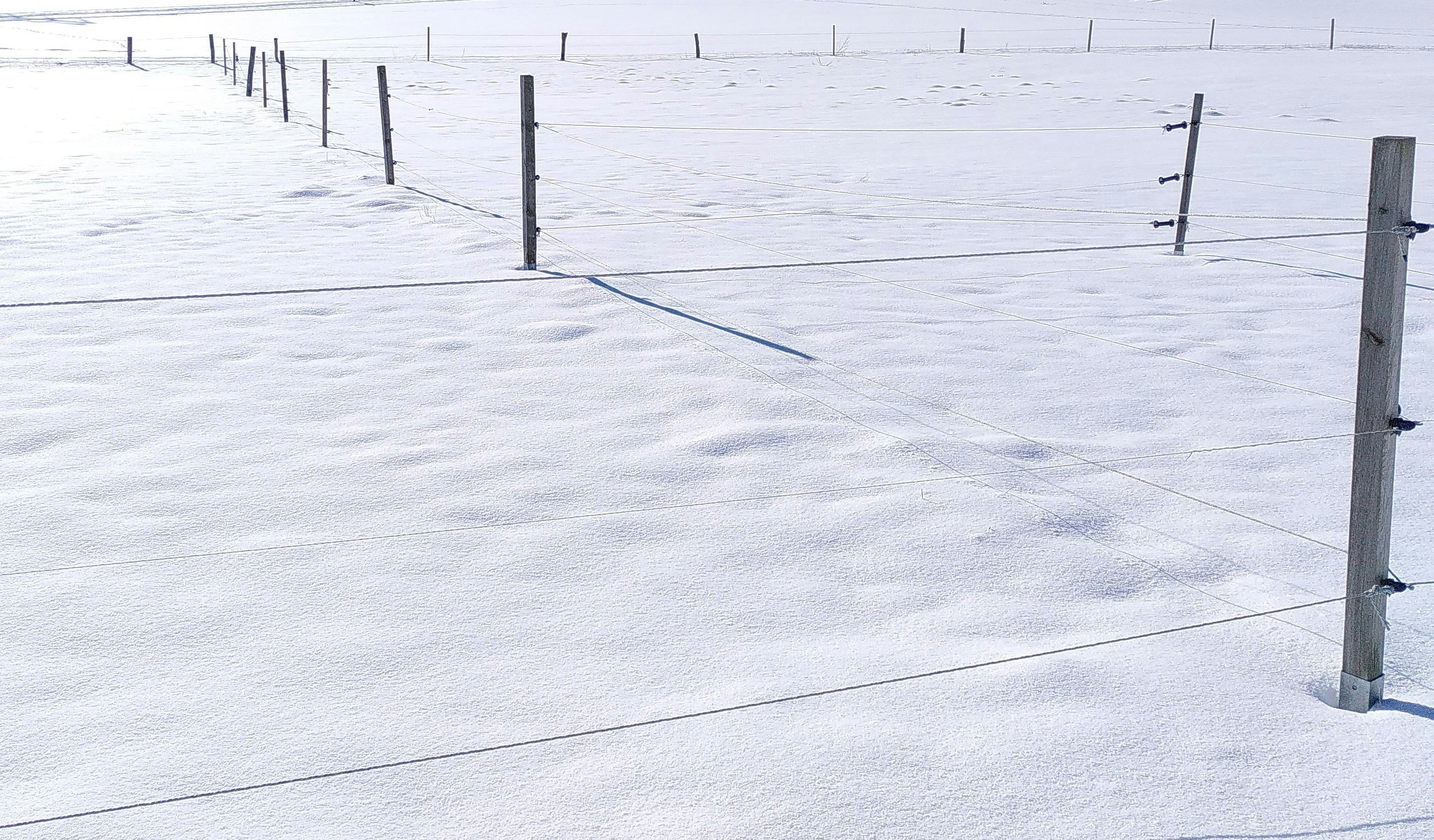 Fence posts on a snow field near to Moritzburg in Saxony