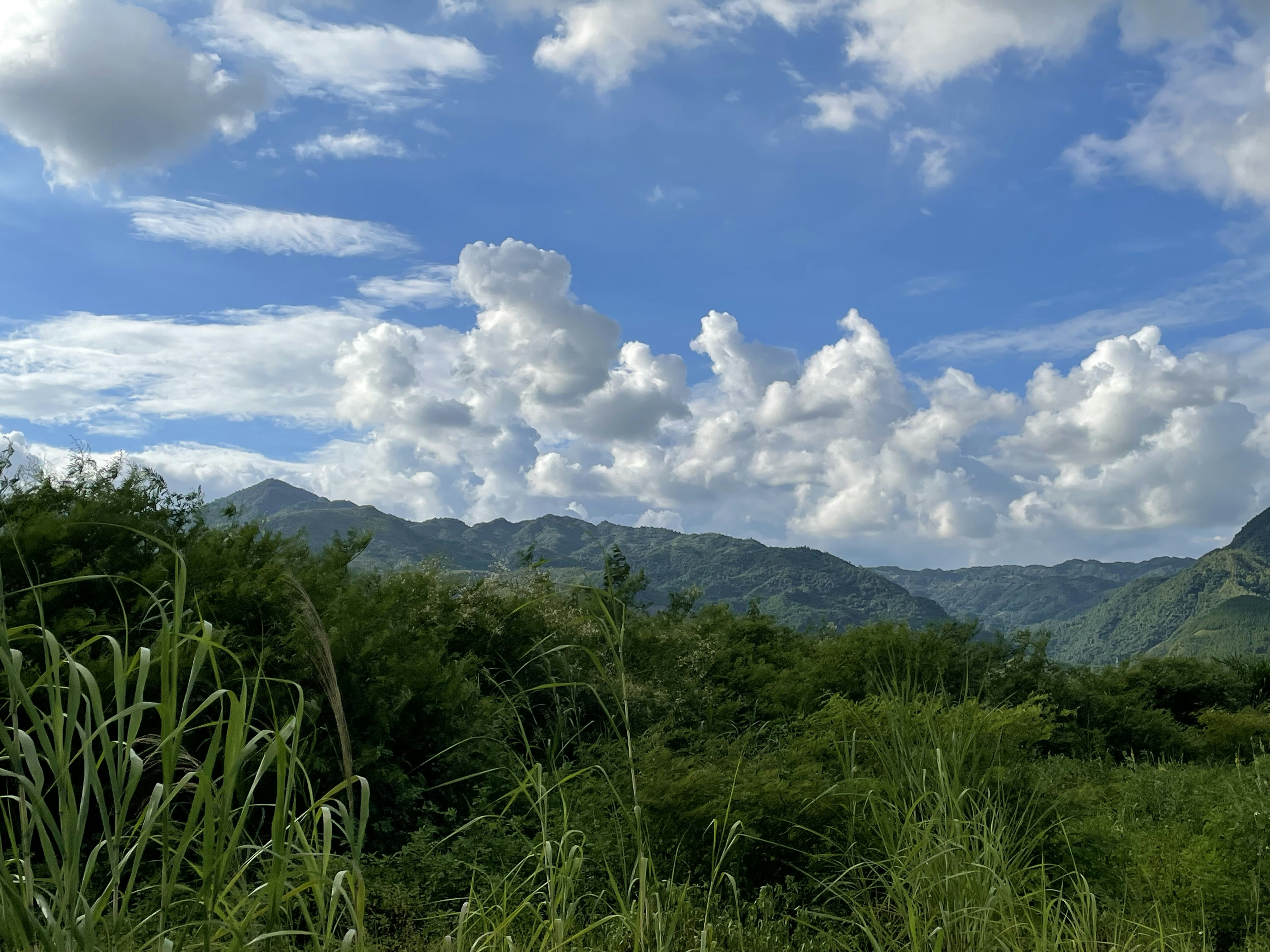 Foto zum Thema Eine rasenfläche mit bergen im hintergrund – Kostenloses ...