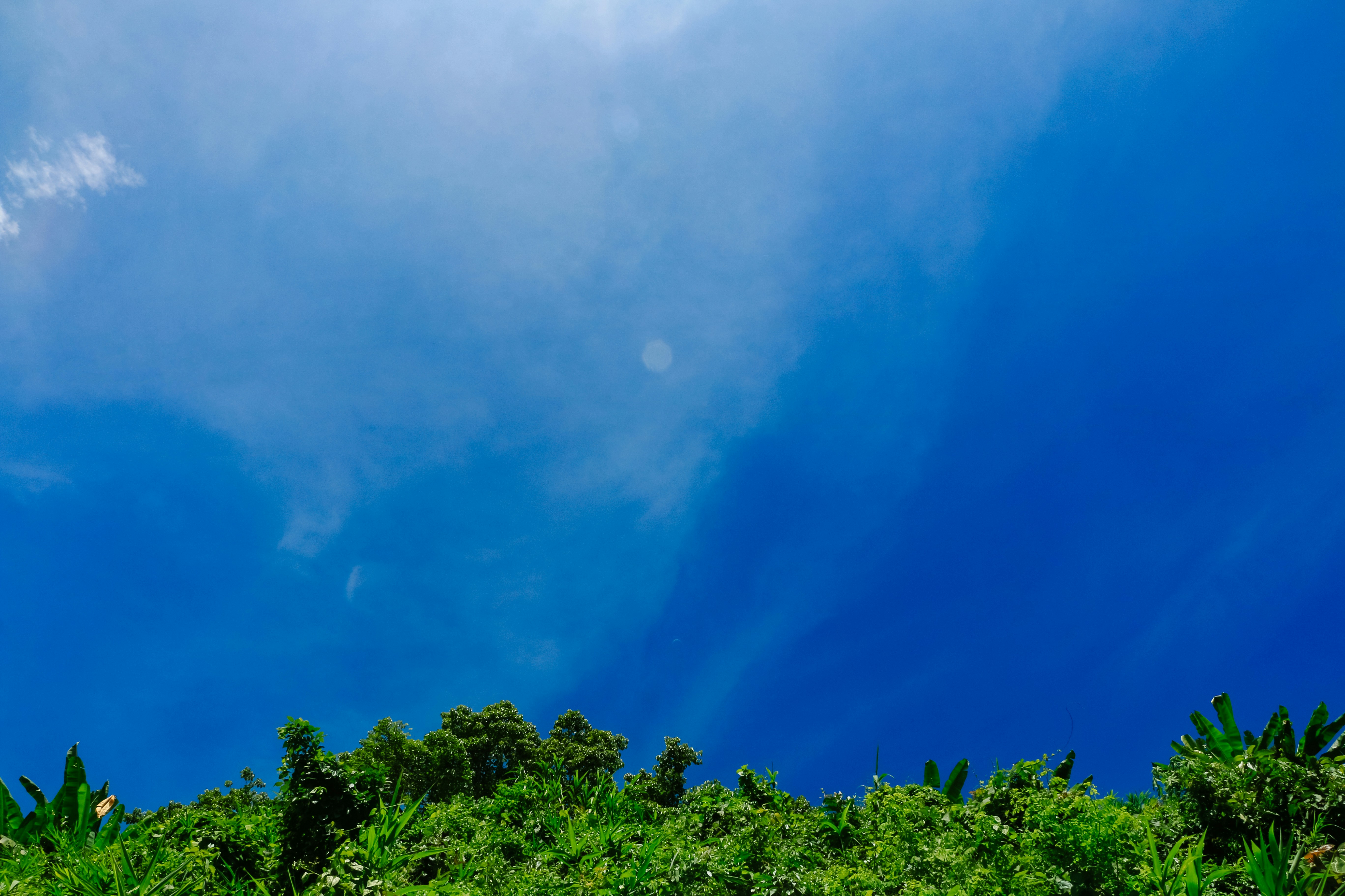 A blue sky above trees photo – Free Bandarban Image on Unsplash