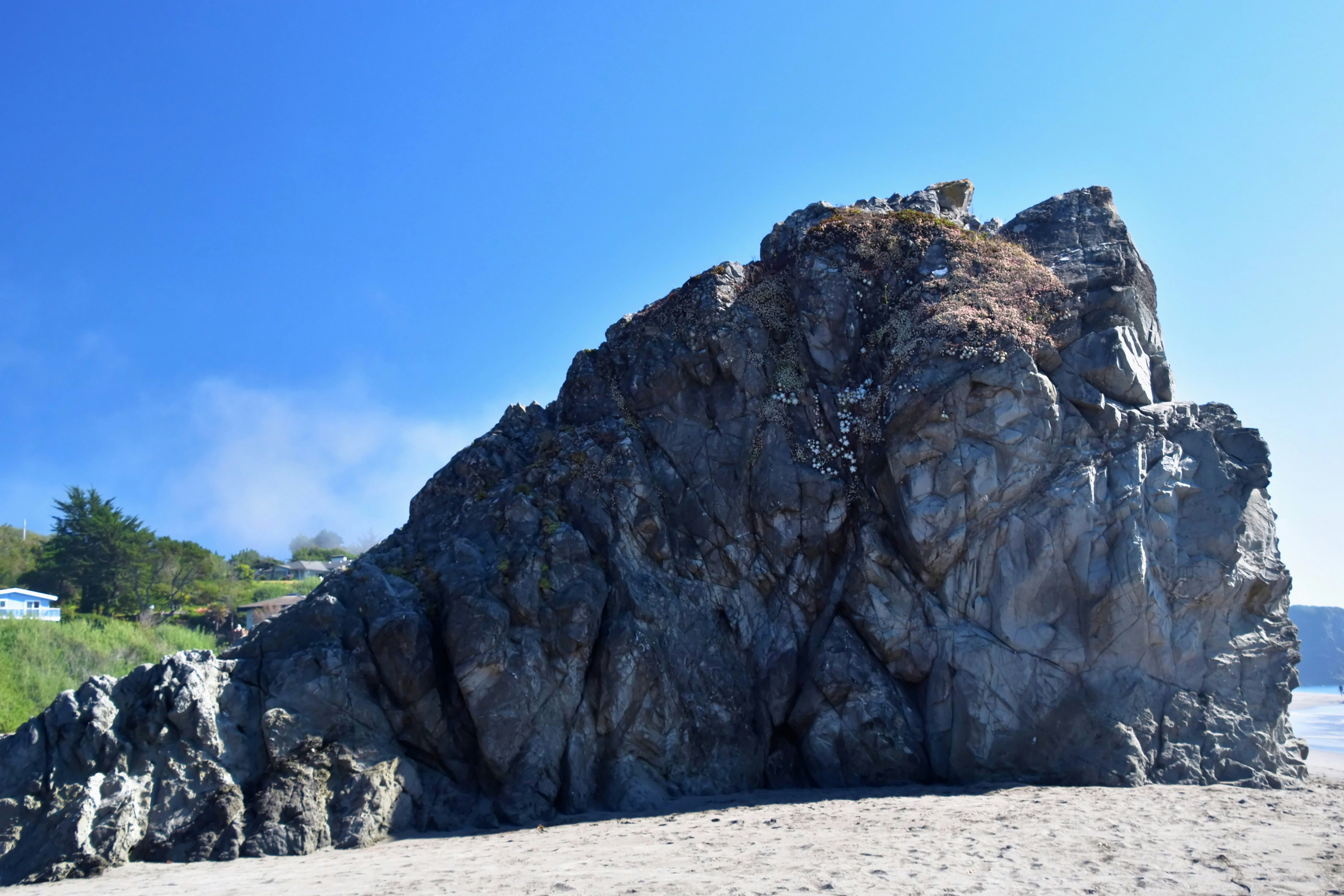 Un gros rocher sur une plage photo – Photo Parc d’État de Harris Beach ...