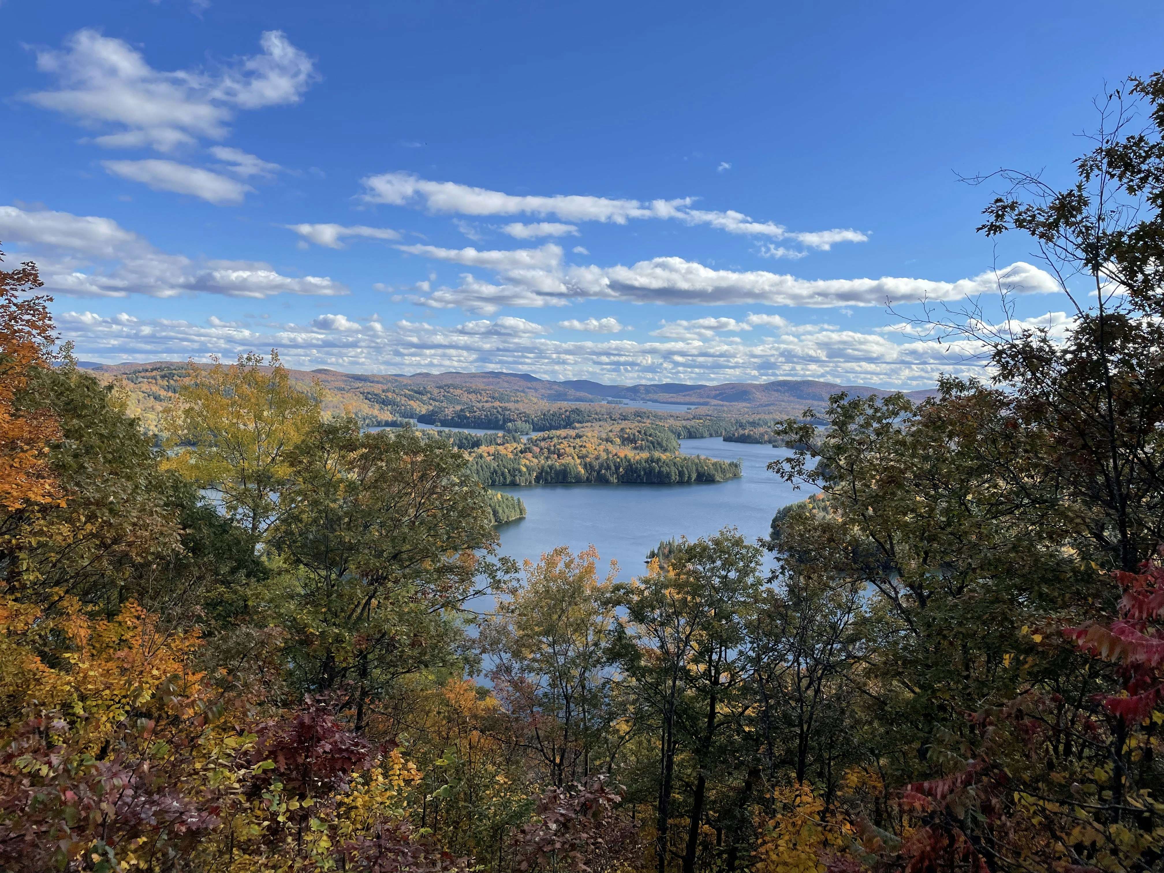 Autumn's Overlook: River Valley Beneath the Blue Sky