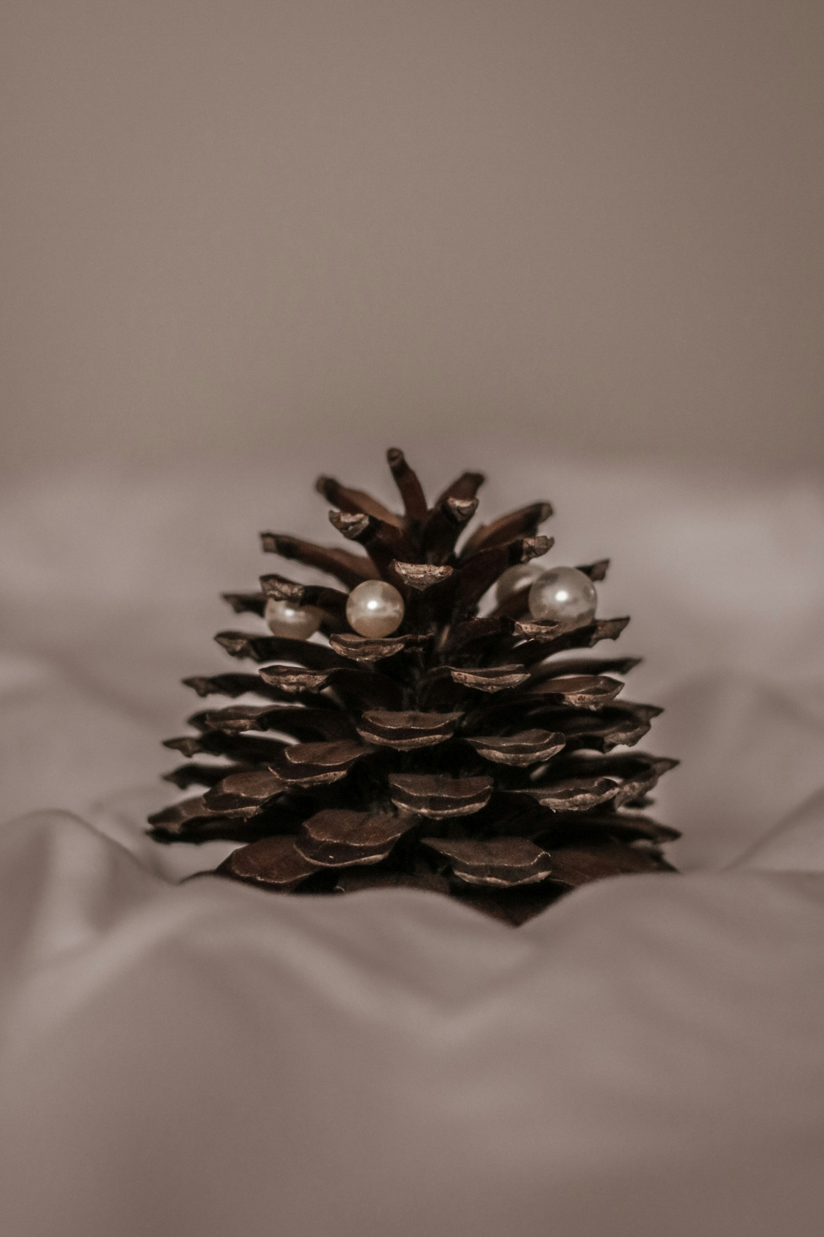 Pearled Pinecone: A Minimal Winter Still Life