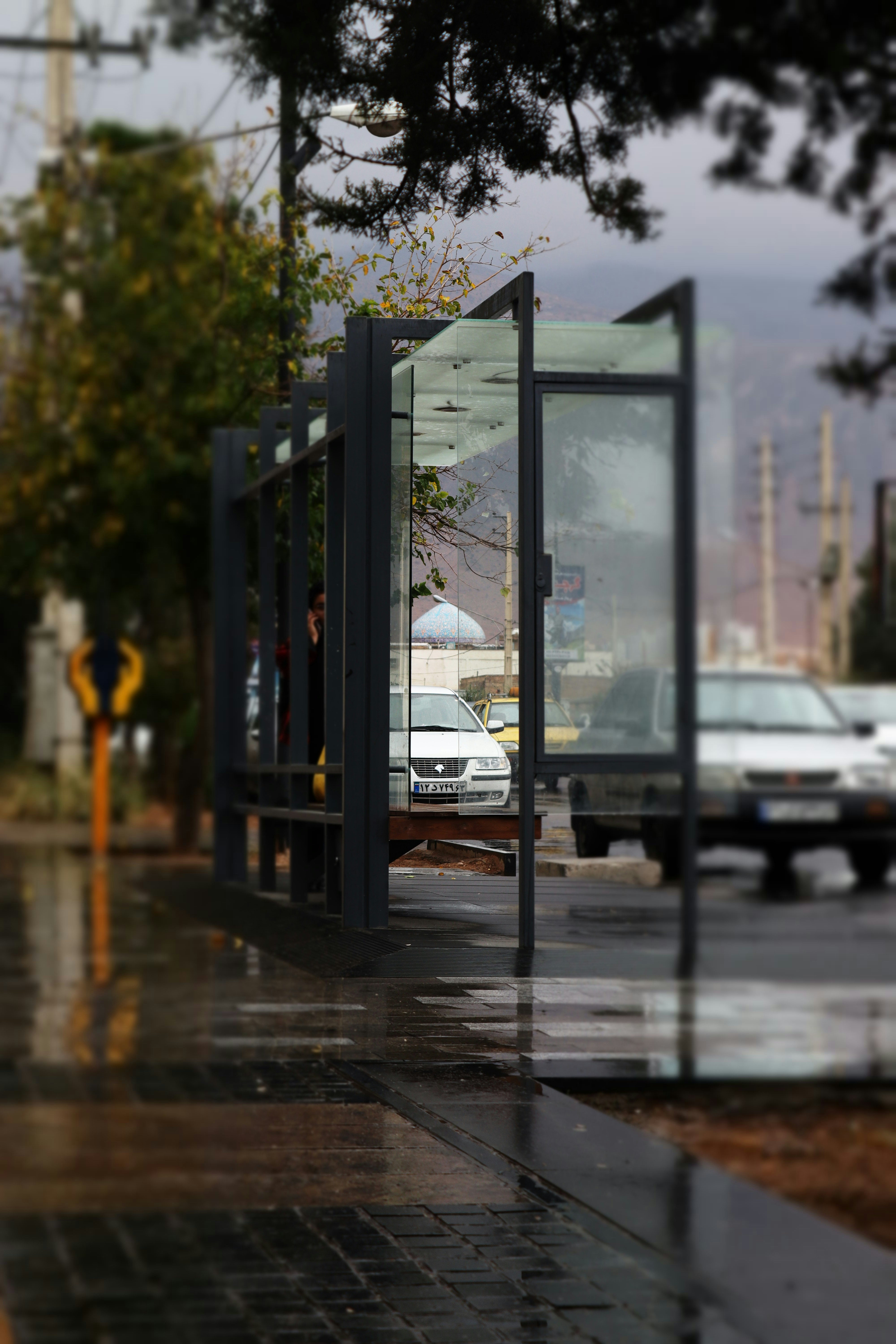 Rain-Glazed Glass Shelter Framing a Quiet Street