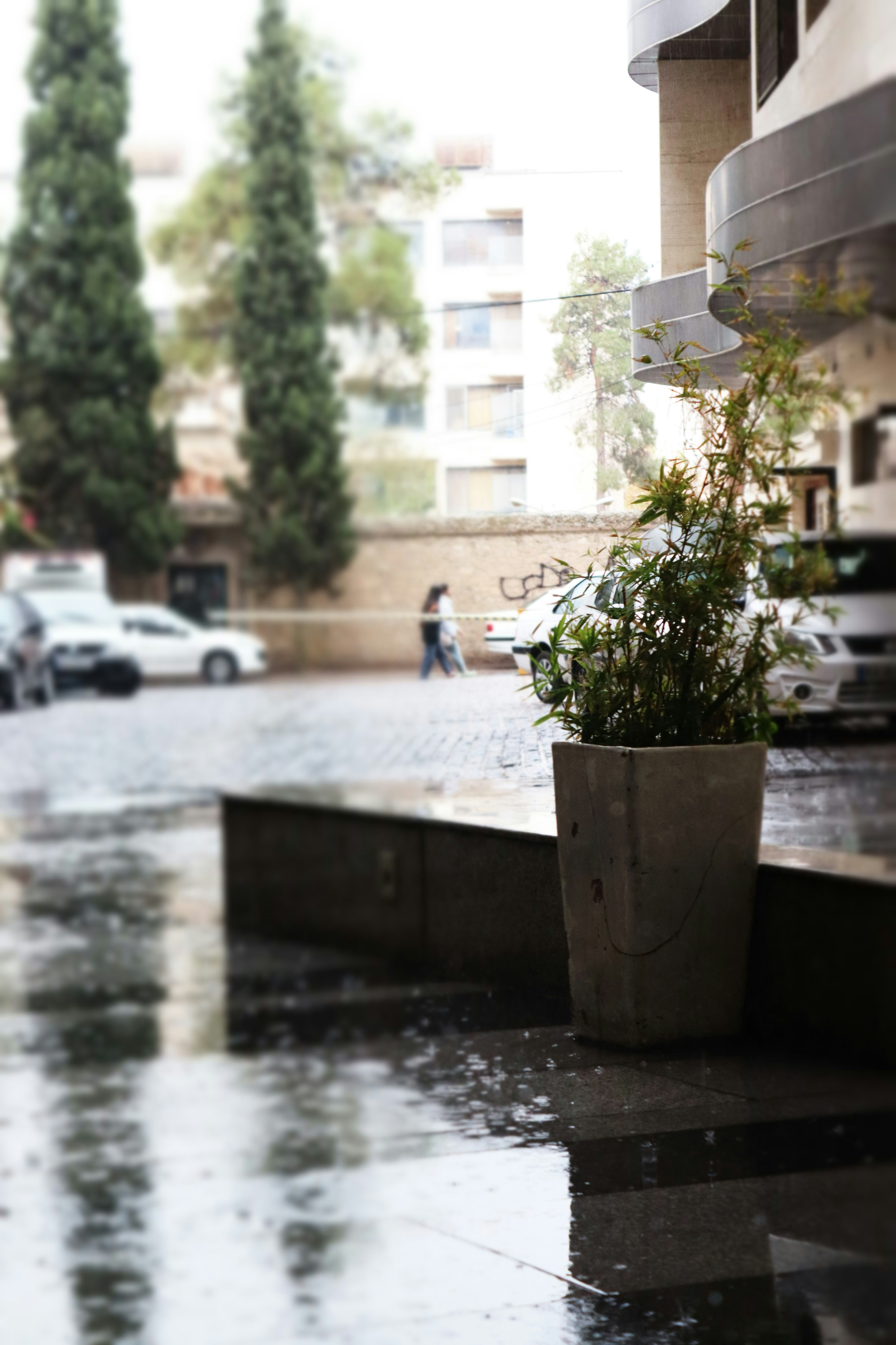 A vase is placed under the rain and the cloudy weather and raindrops give a good vibe around.