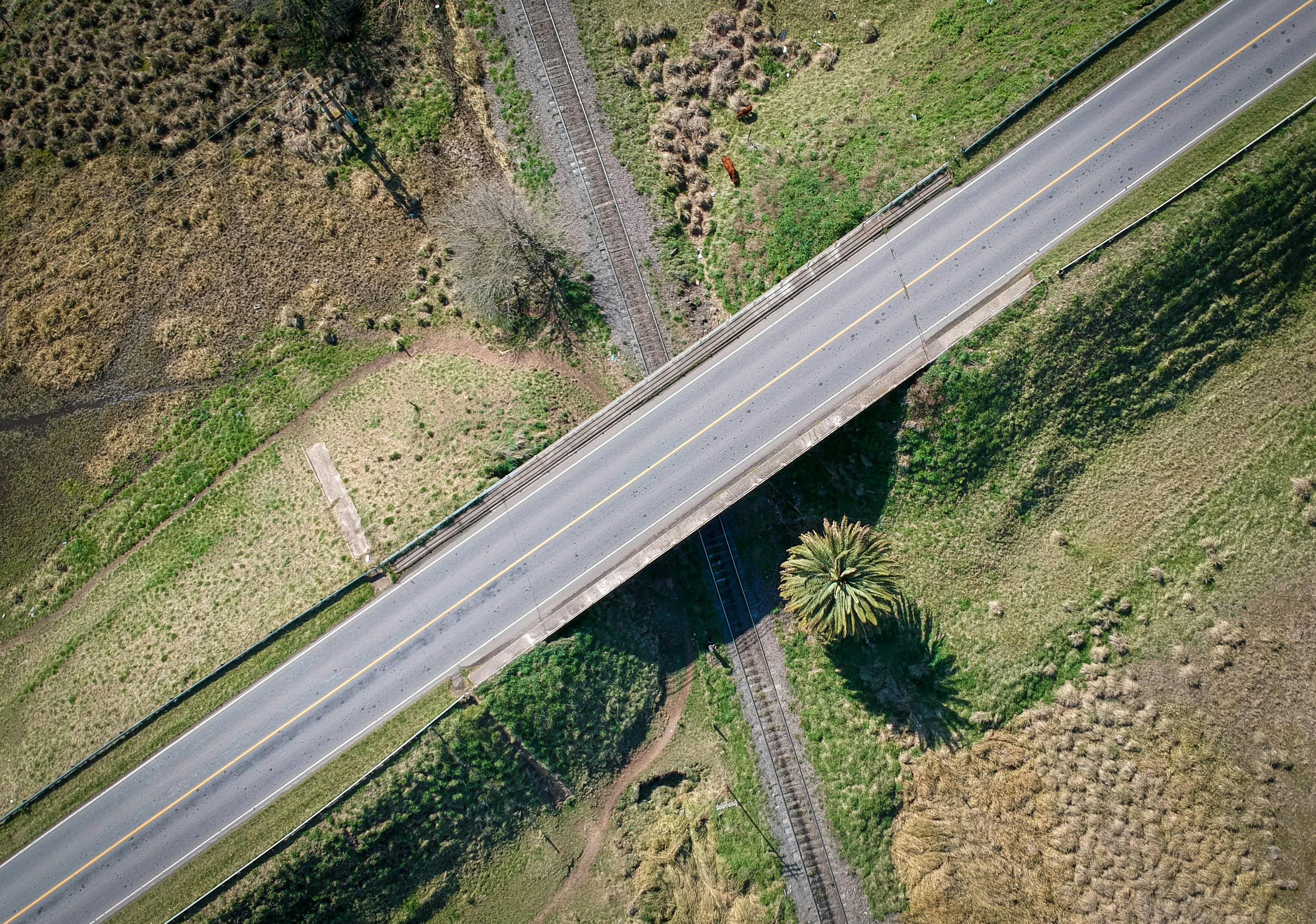 Photo by Rafael Santiago with DJI Spark