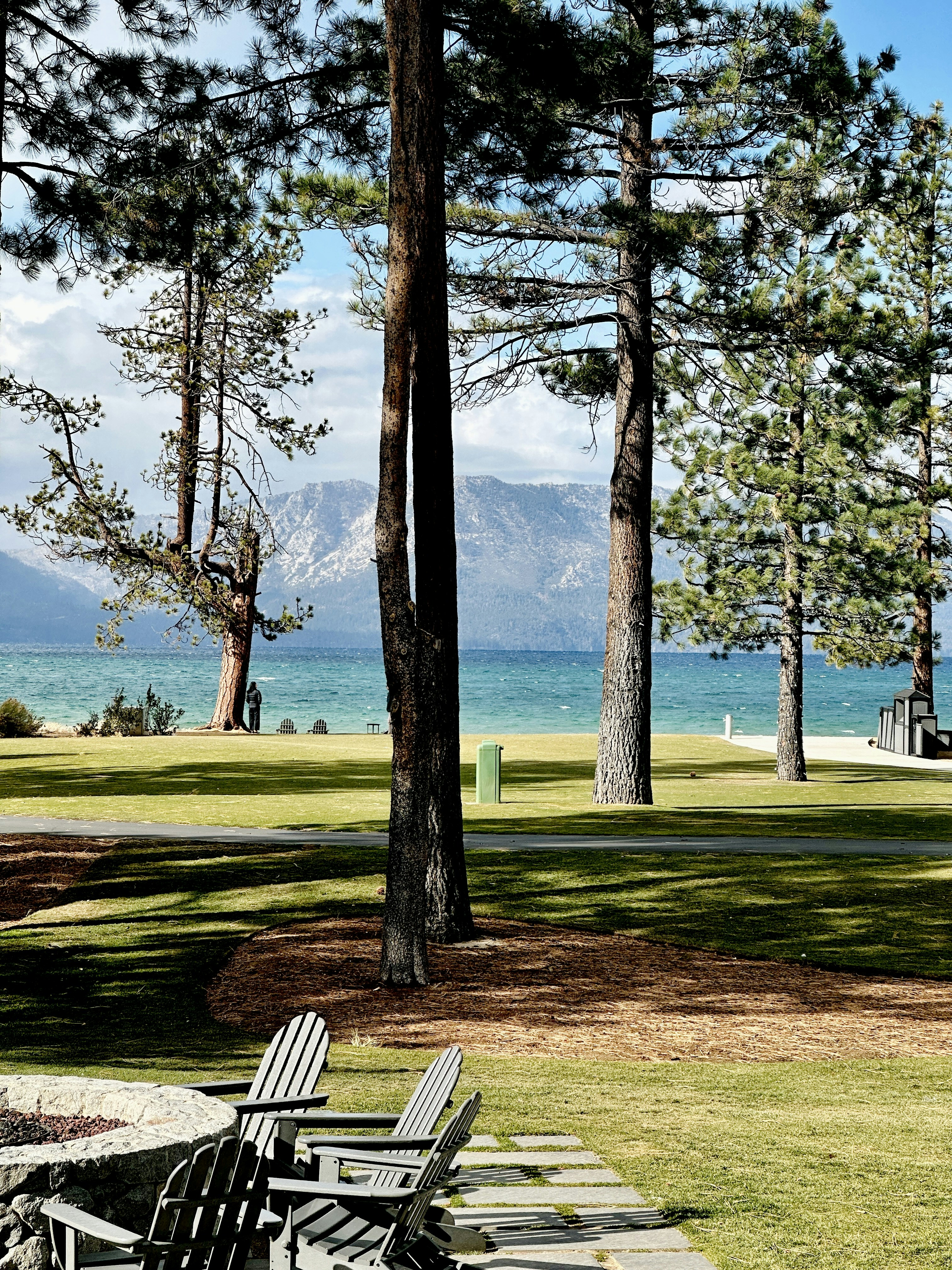 Pines Framing Lakefront: A Quiet Park by the Alpine Shore