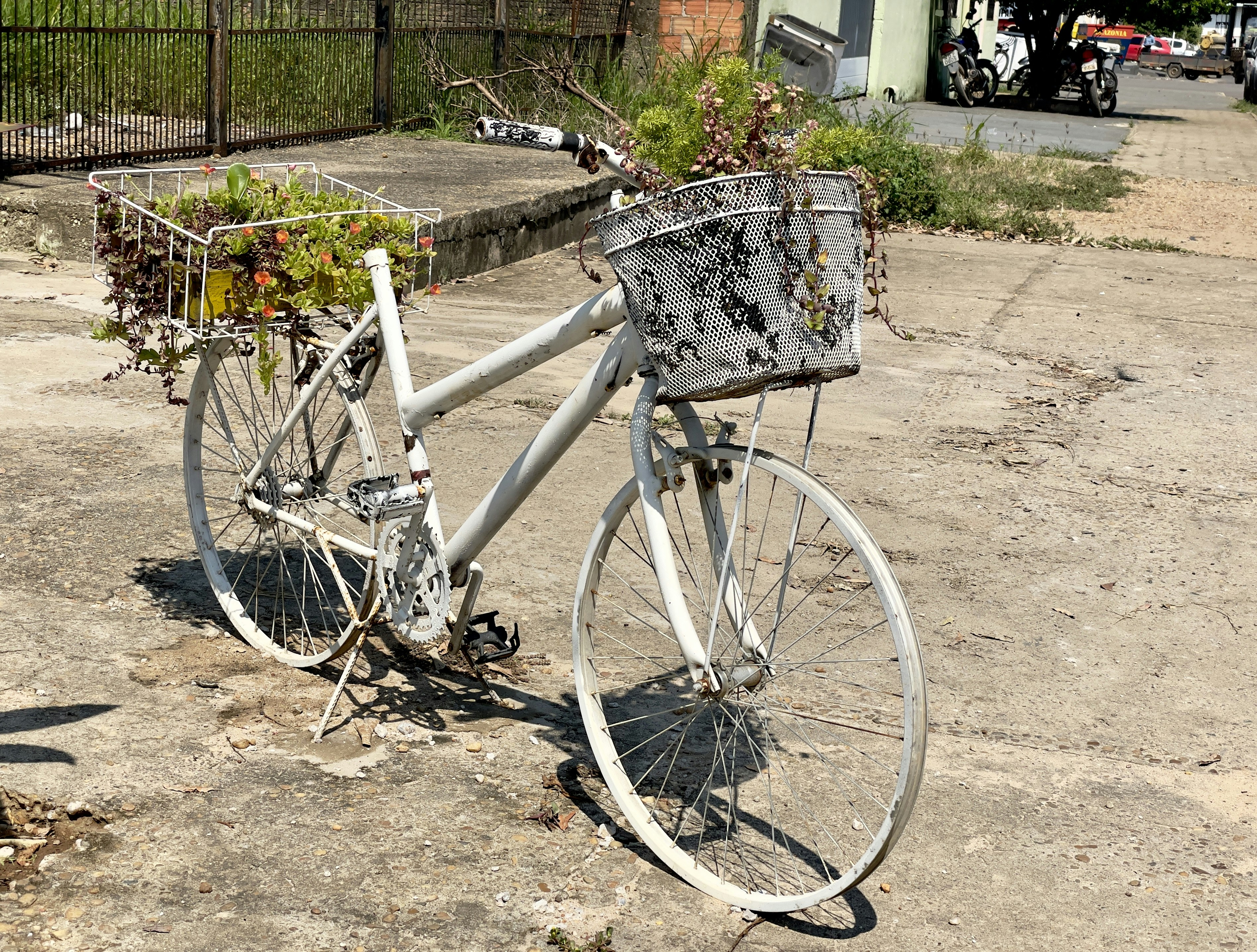 Photo by Jose Dorda with Apple iPhone 12 Pro