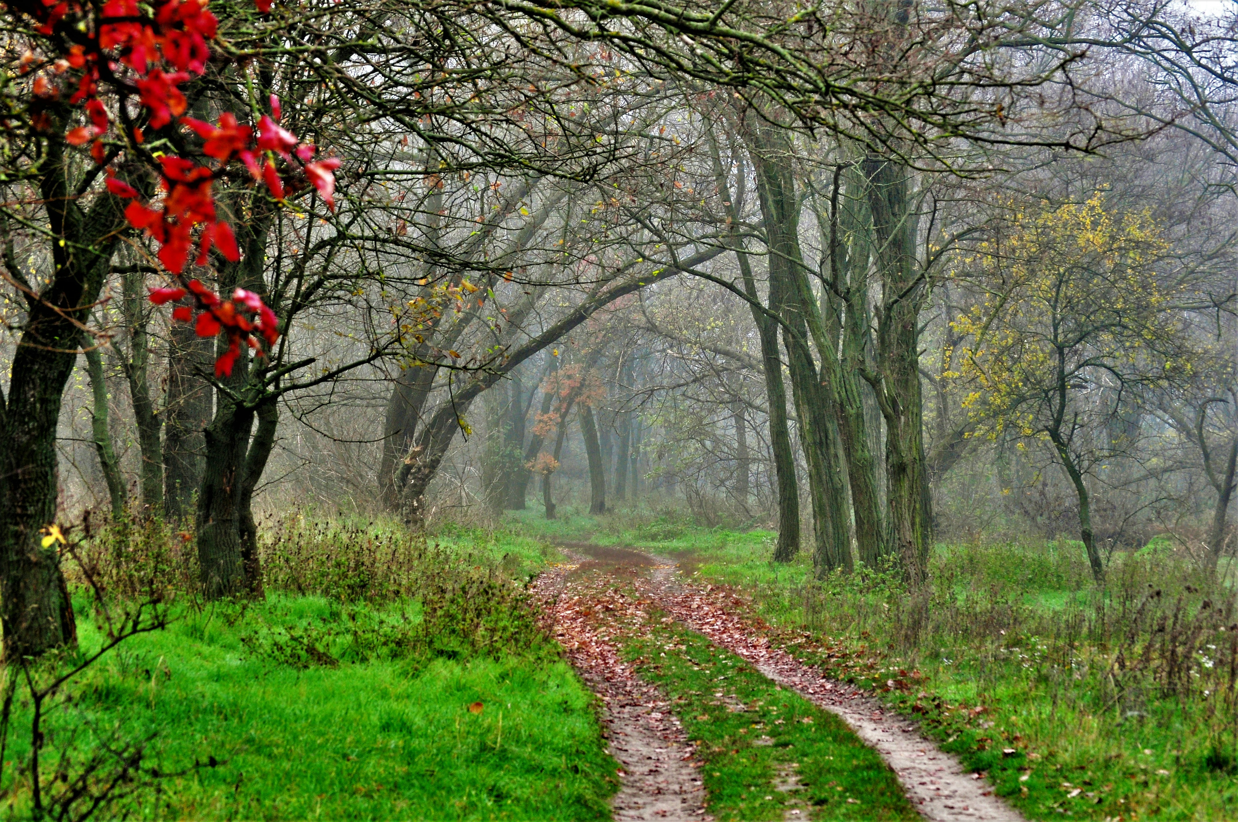 Photo by Oleksandr Brovko with Nikon D5000