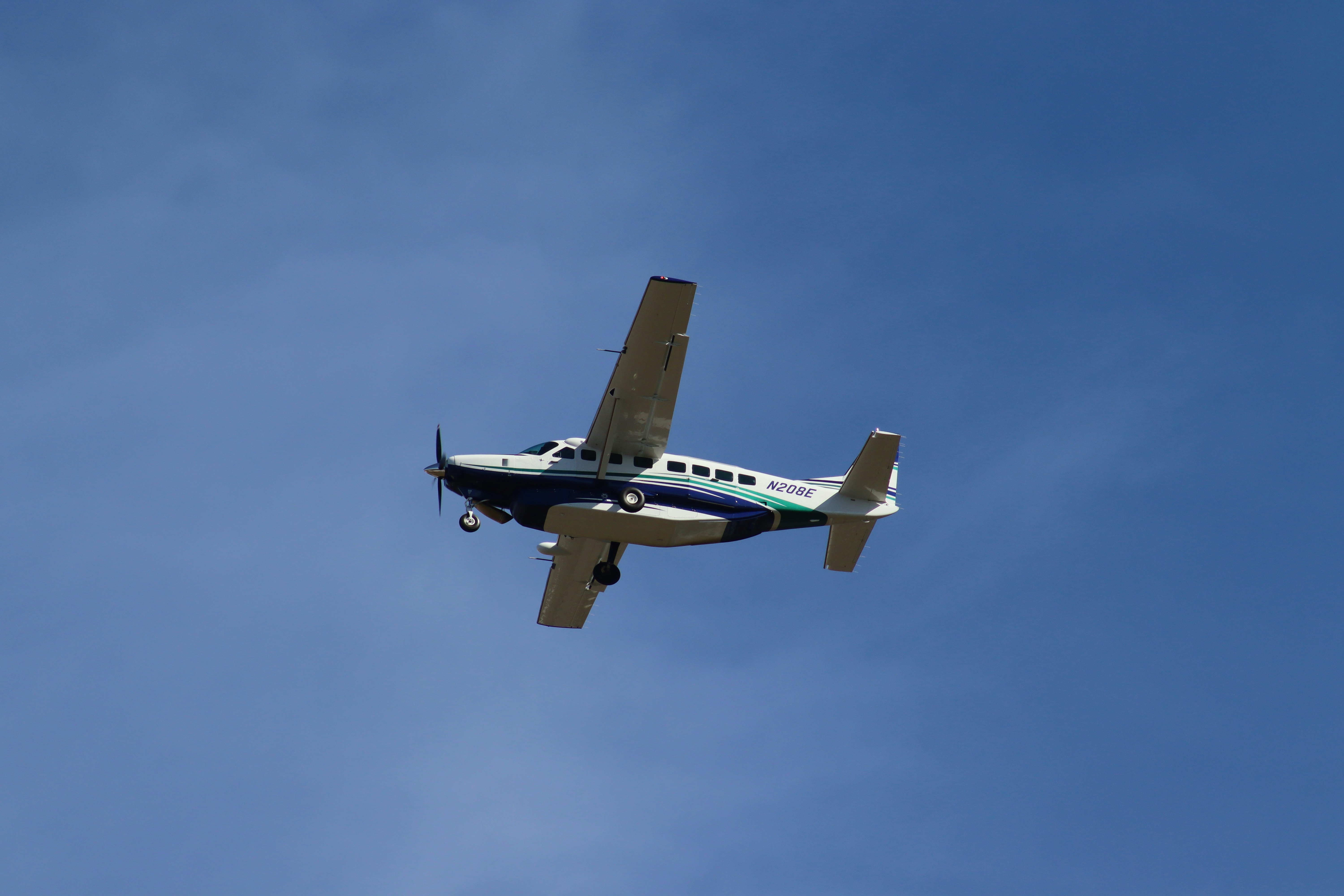 Photo by Tom Brown with Canon EOS 250D