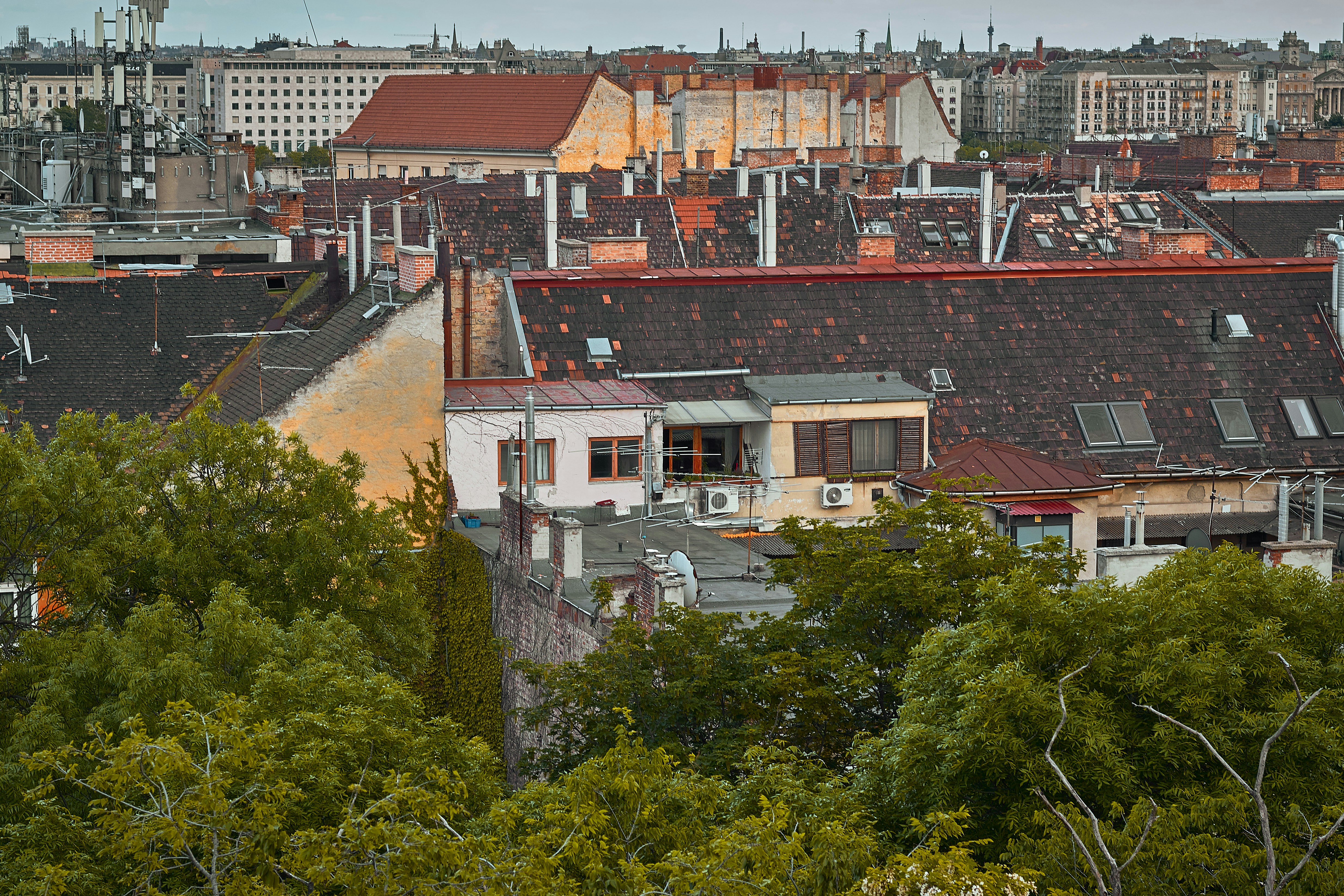 Amber Rooftops and Green Canopy: A Quiet City Panorama