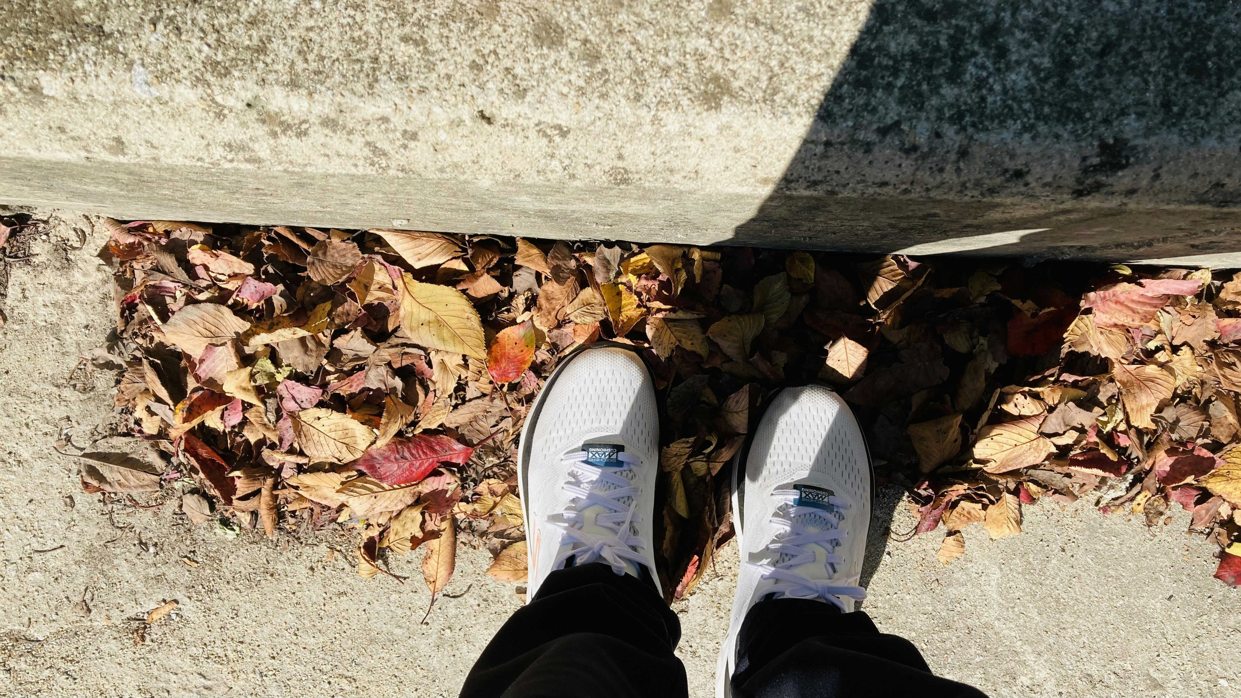 Autumn Edge: White sneakers poised above a leaf-strewn curb