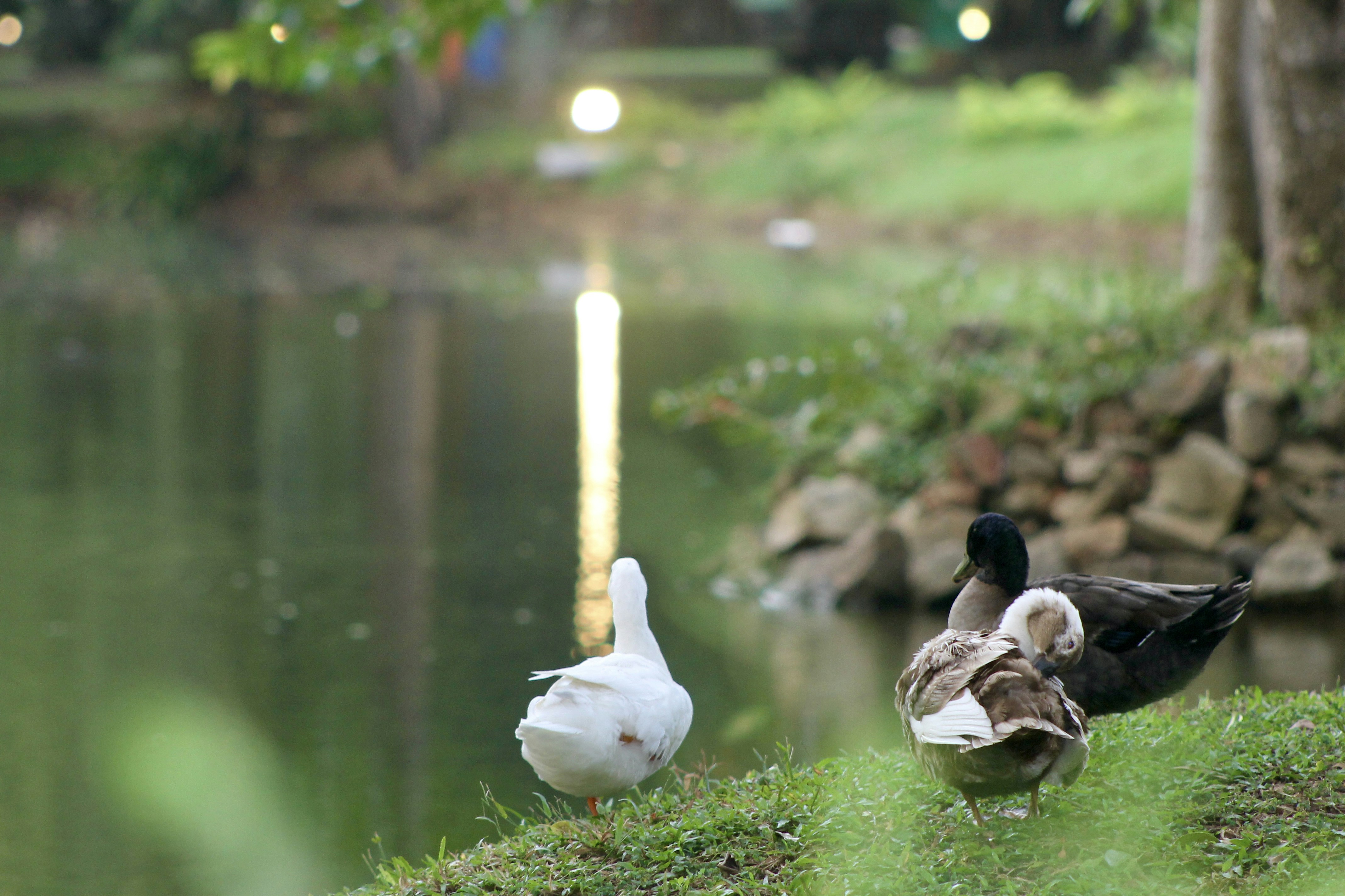 Photo by Uravrgphotographer with Canon EOS 1100D