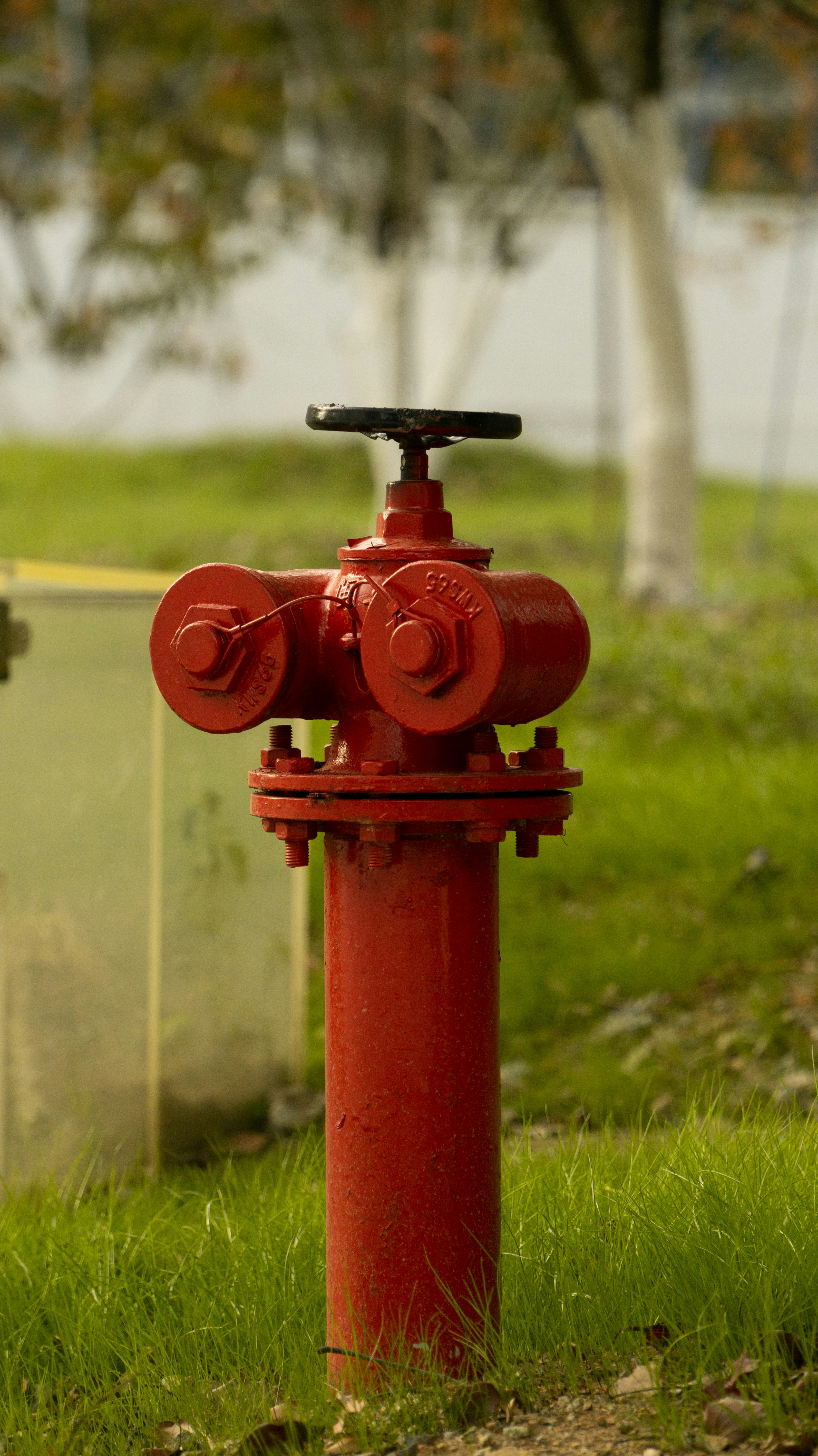 Crimson Sentinel: A Fire Hydrant Framed by Soft Greenery