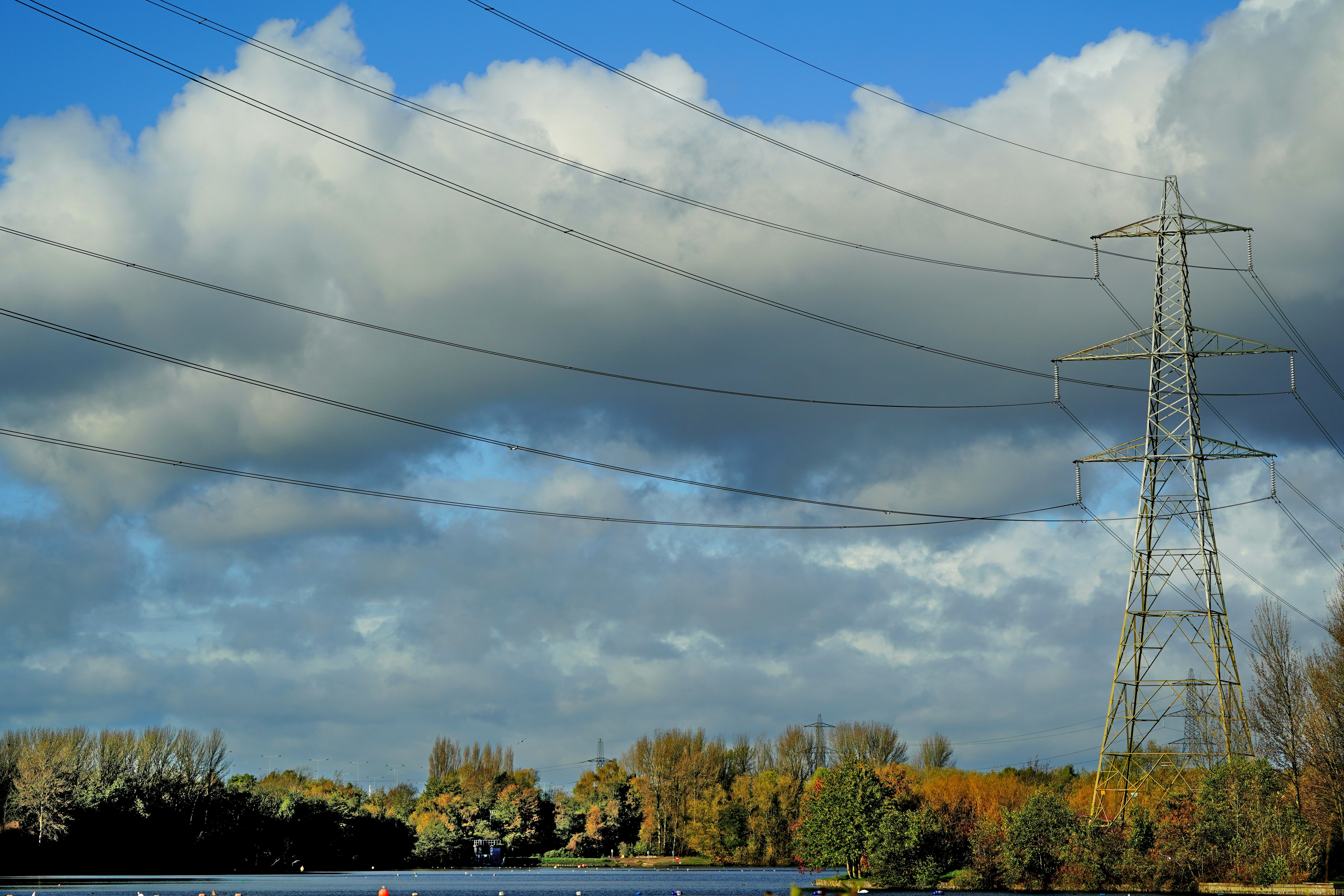Power lines over trees photo – Free Cable Image on Unsplash