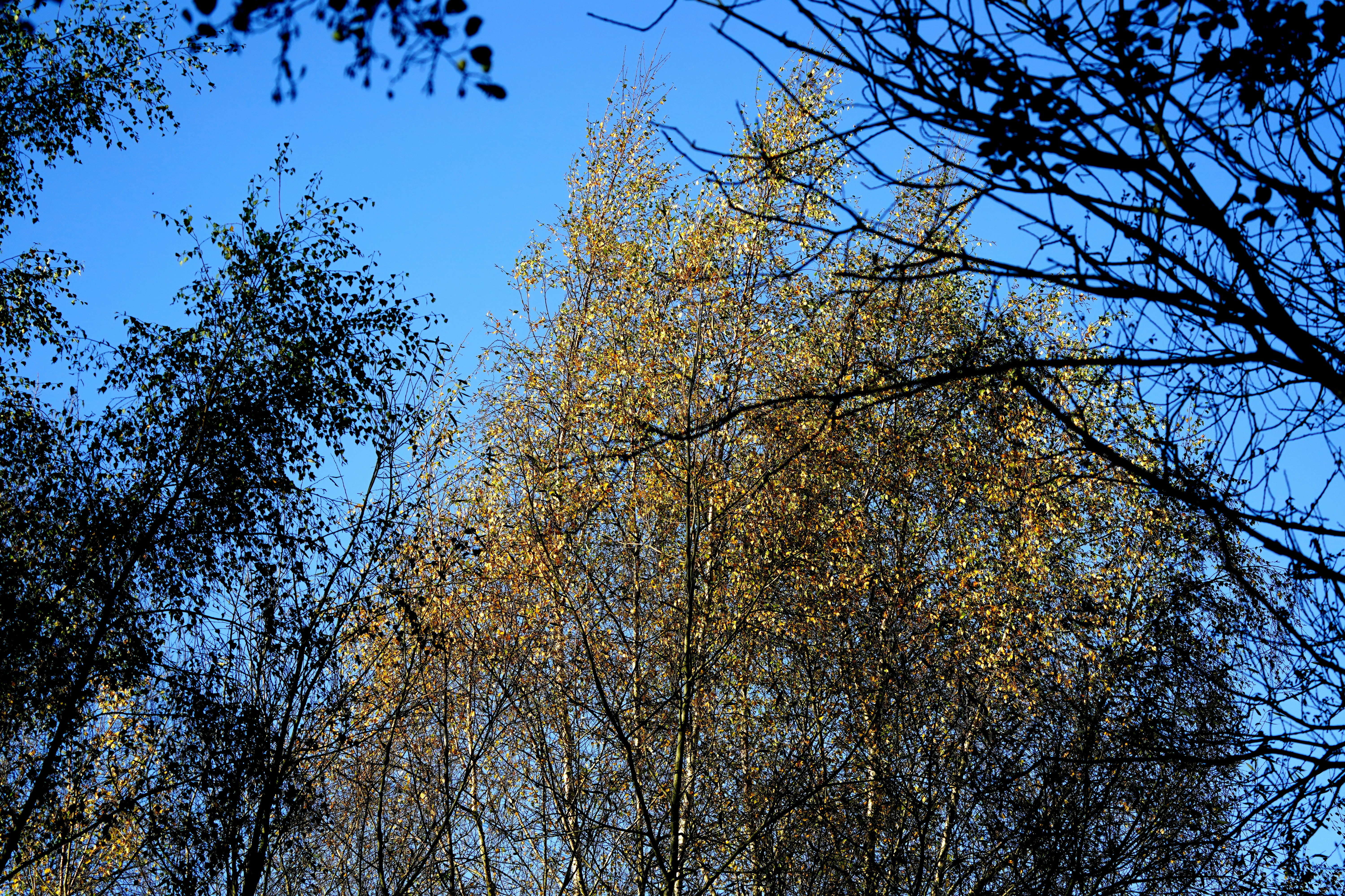 Photo by Martin Wemyss with Sony Alpha 9