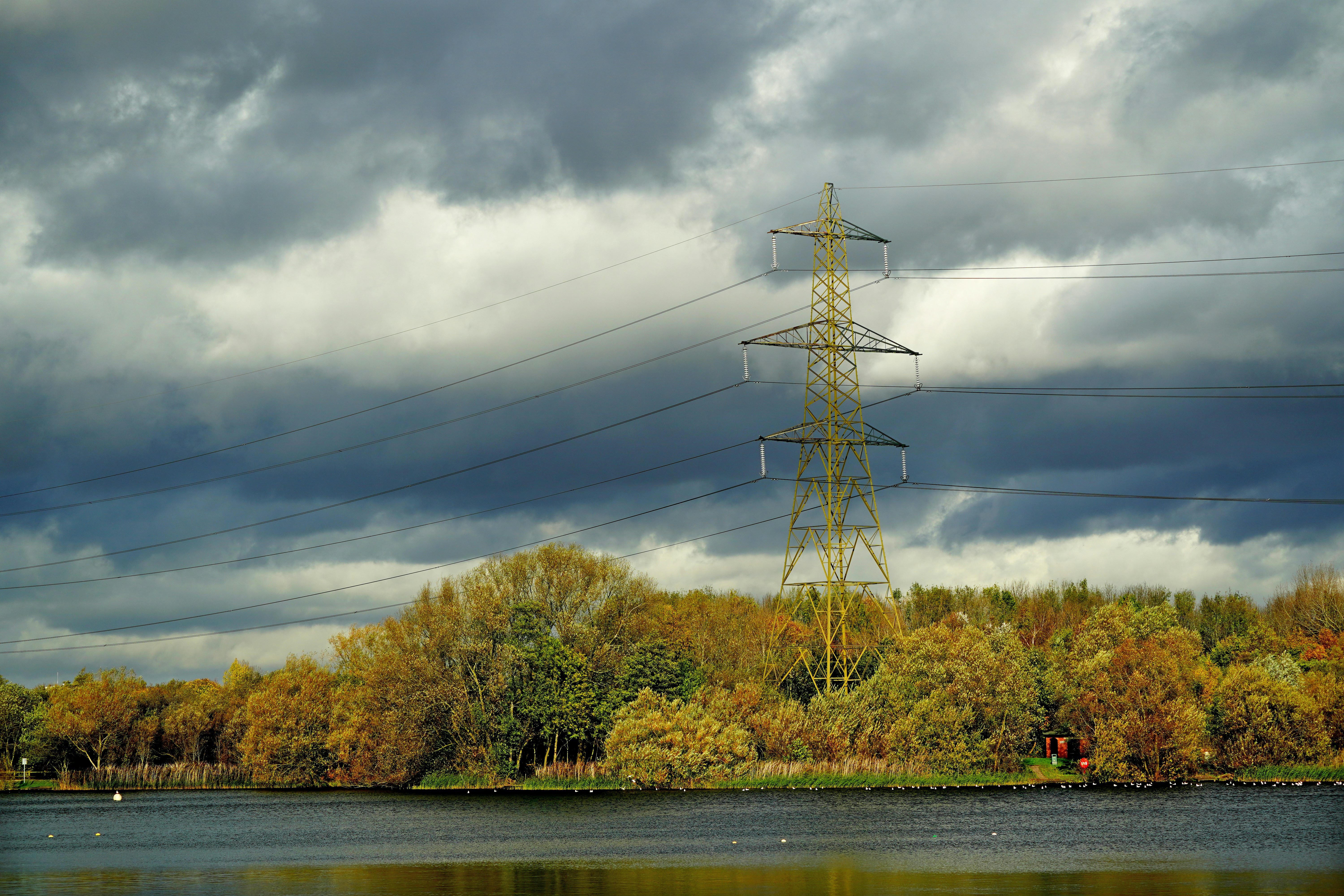 Lattice Pylon Amid Autumn Shoreline Under Brooding Skies