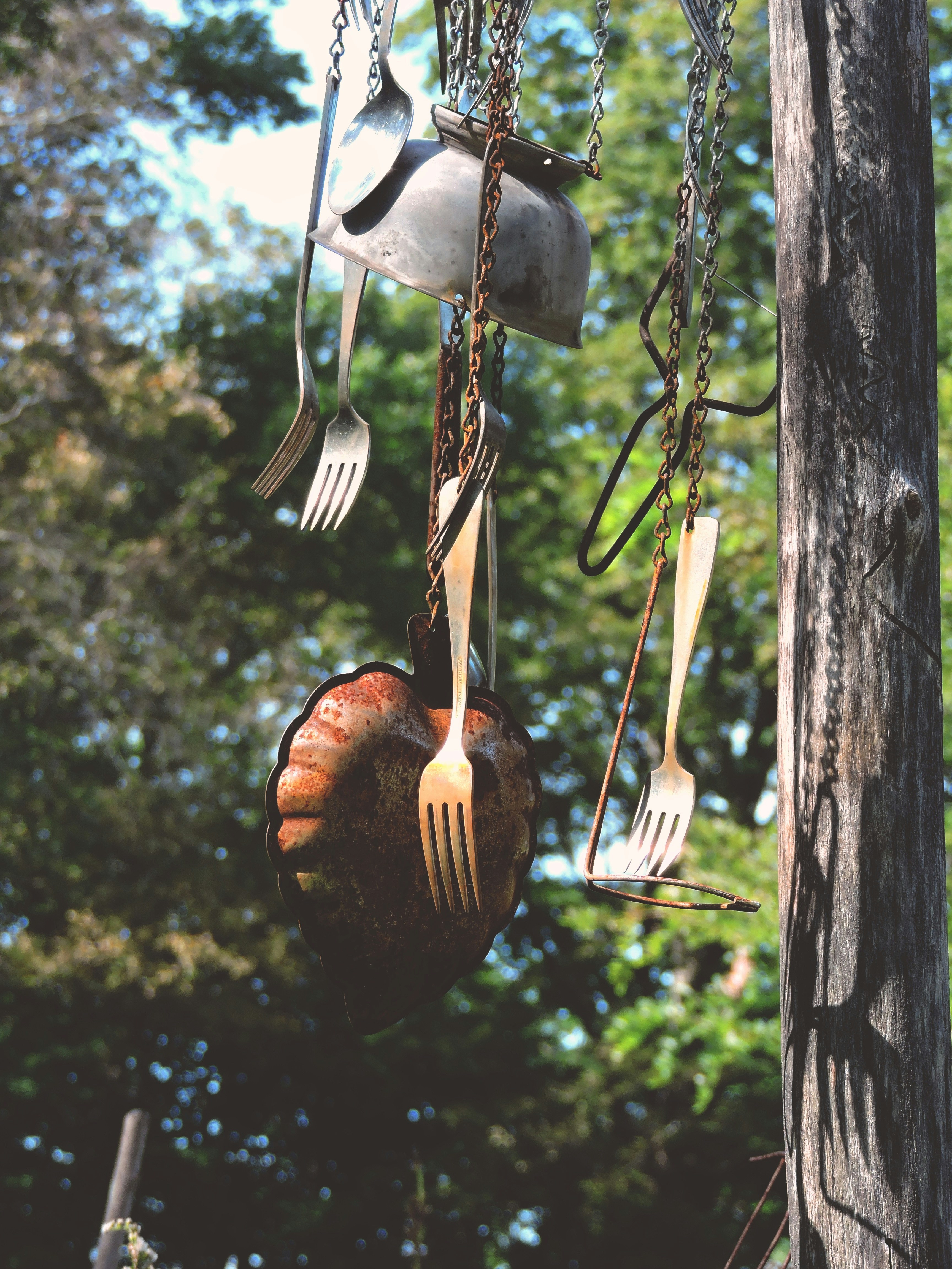 Photo by Sebastian Enrique with Nikon Coolpix P530