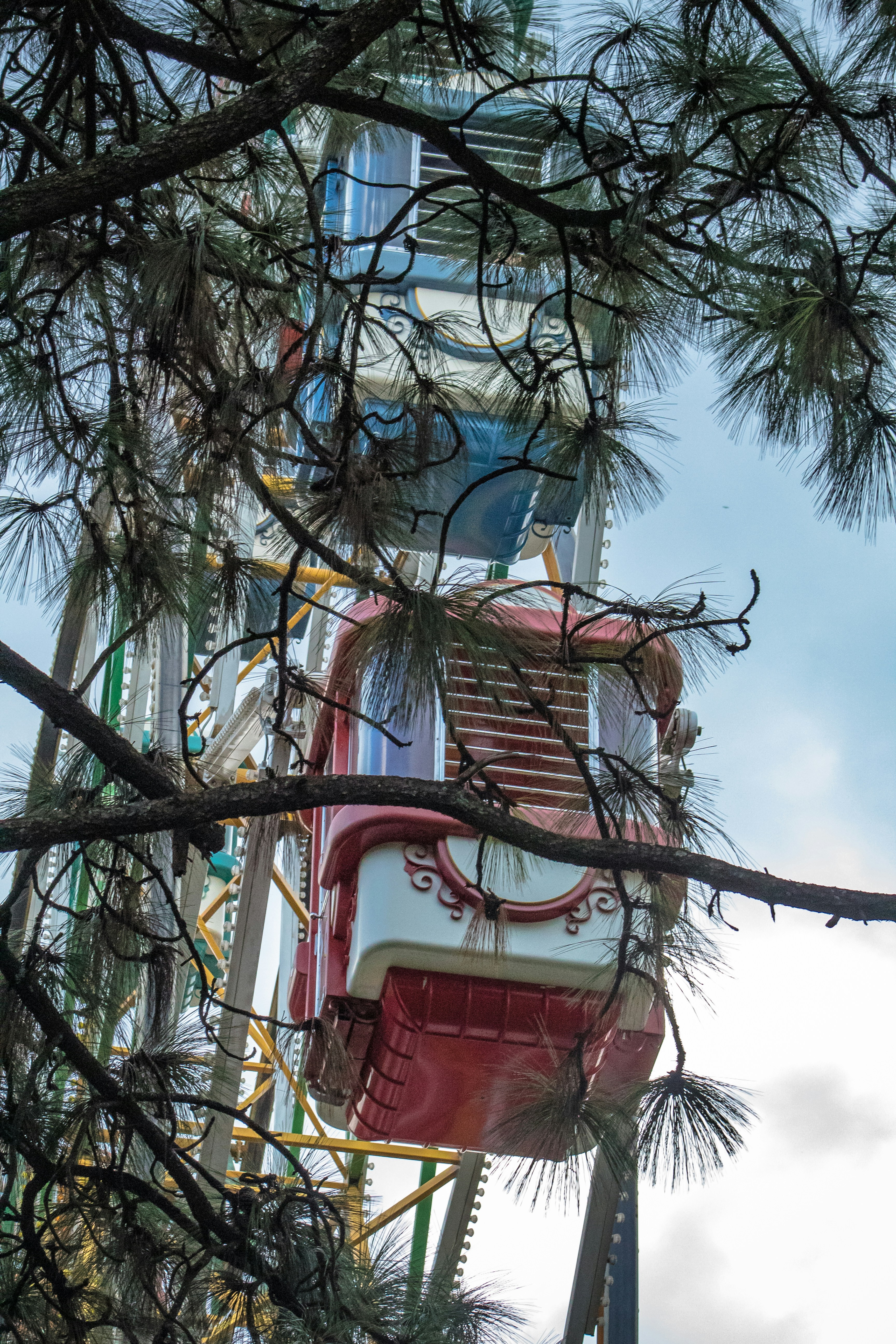 Gondola in the Pines: A Carnival Capsule Framed by Branches