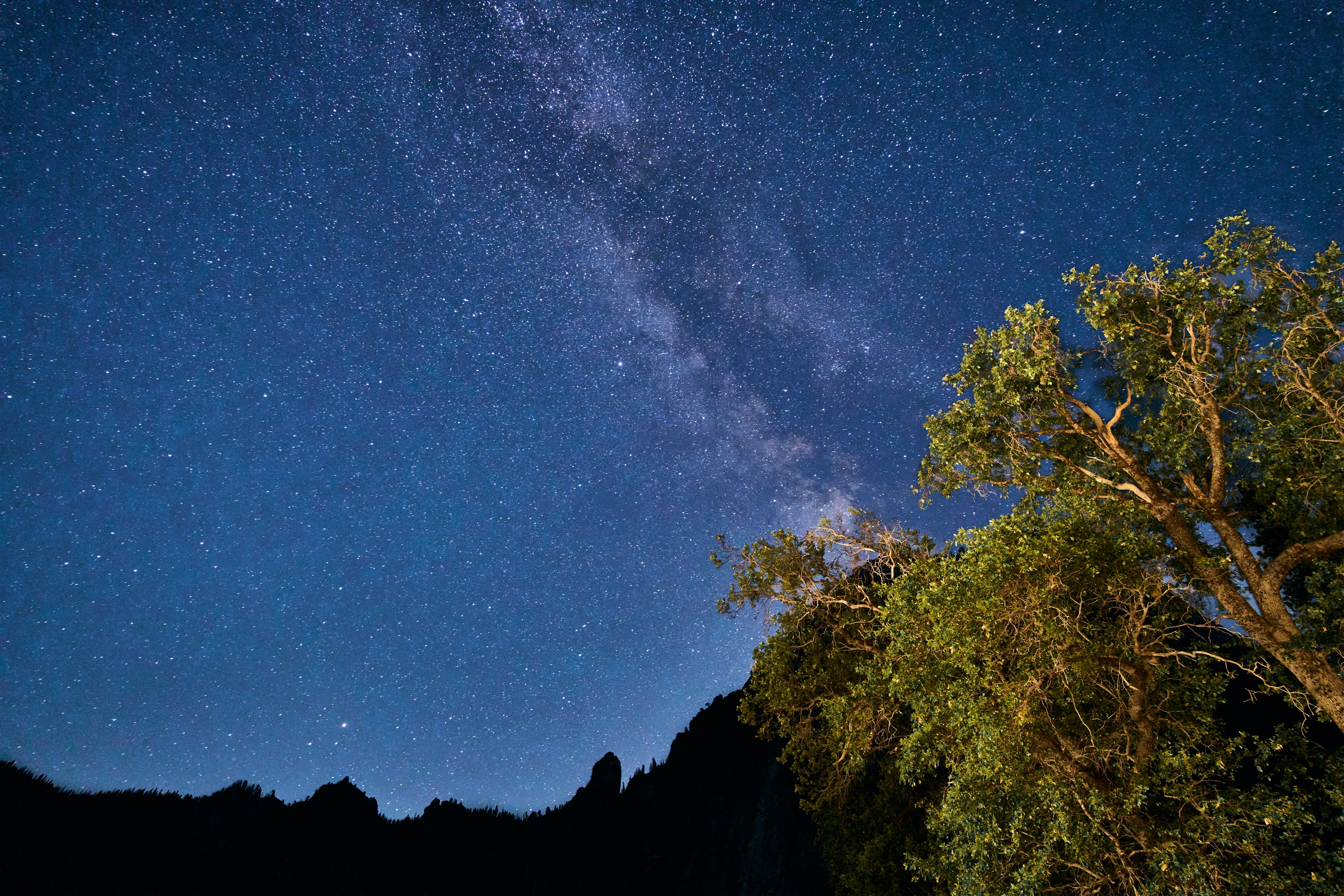 A starry night sky over trees photo – Free Night Image on Unsplash