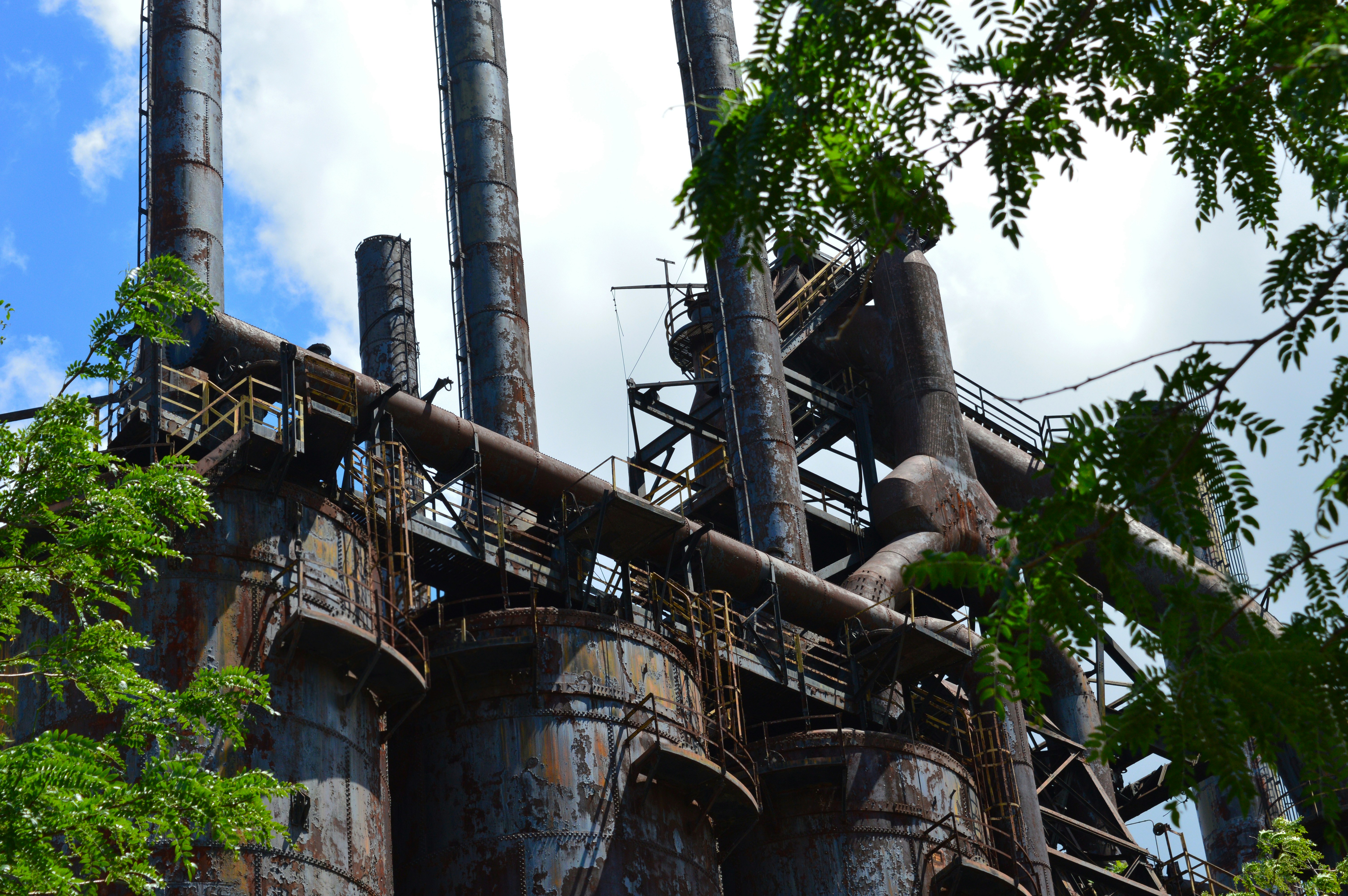 Photo by Myles Bloomfield with Nikon D3200