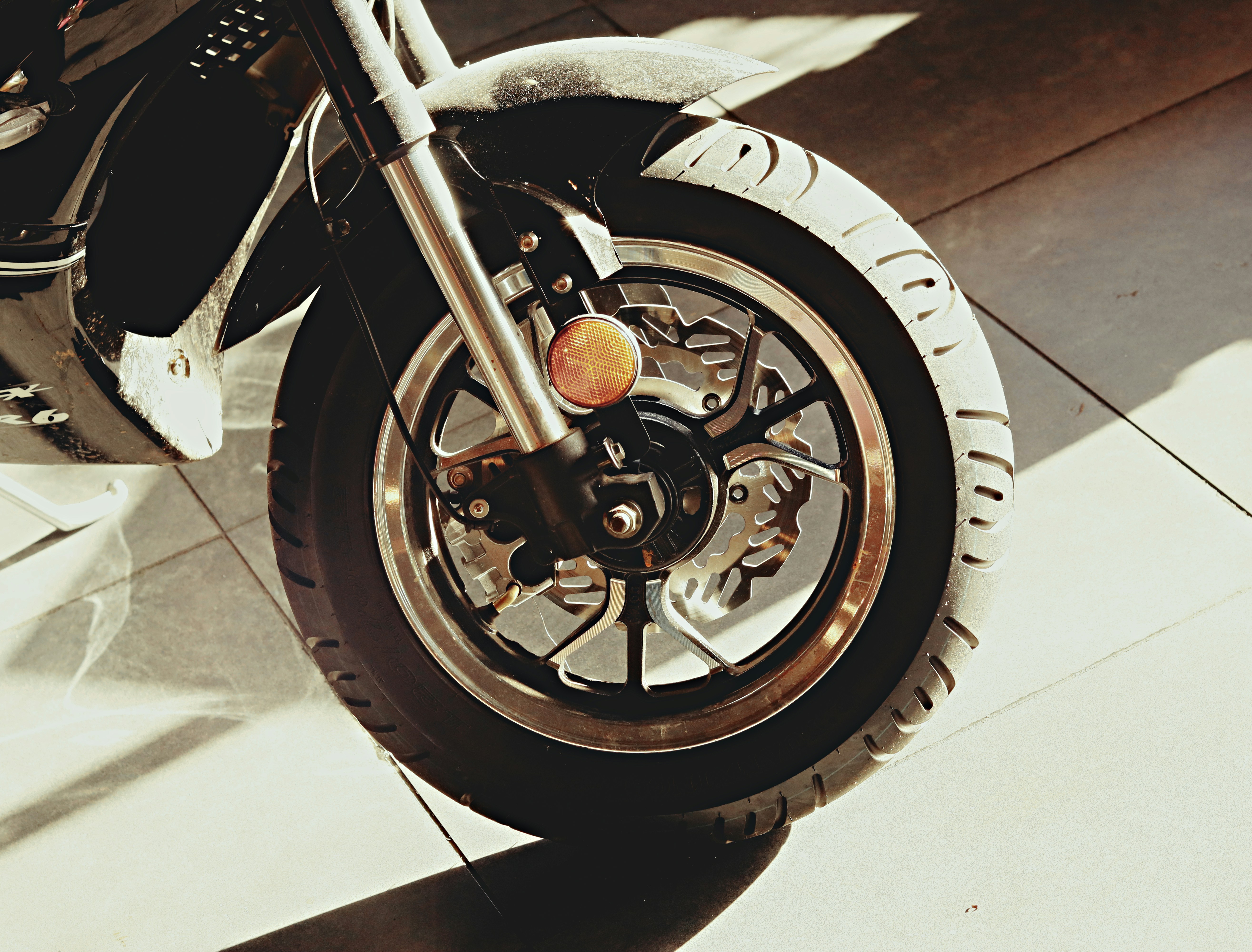 Photo by John Lee with Canon EOS M50 Mark II