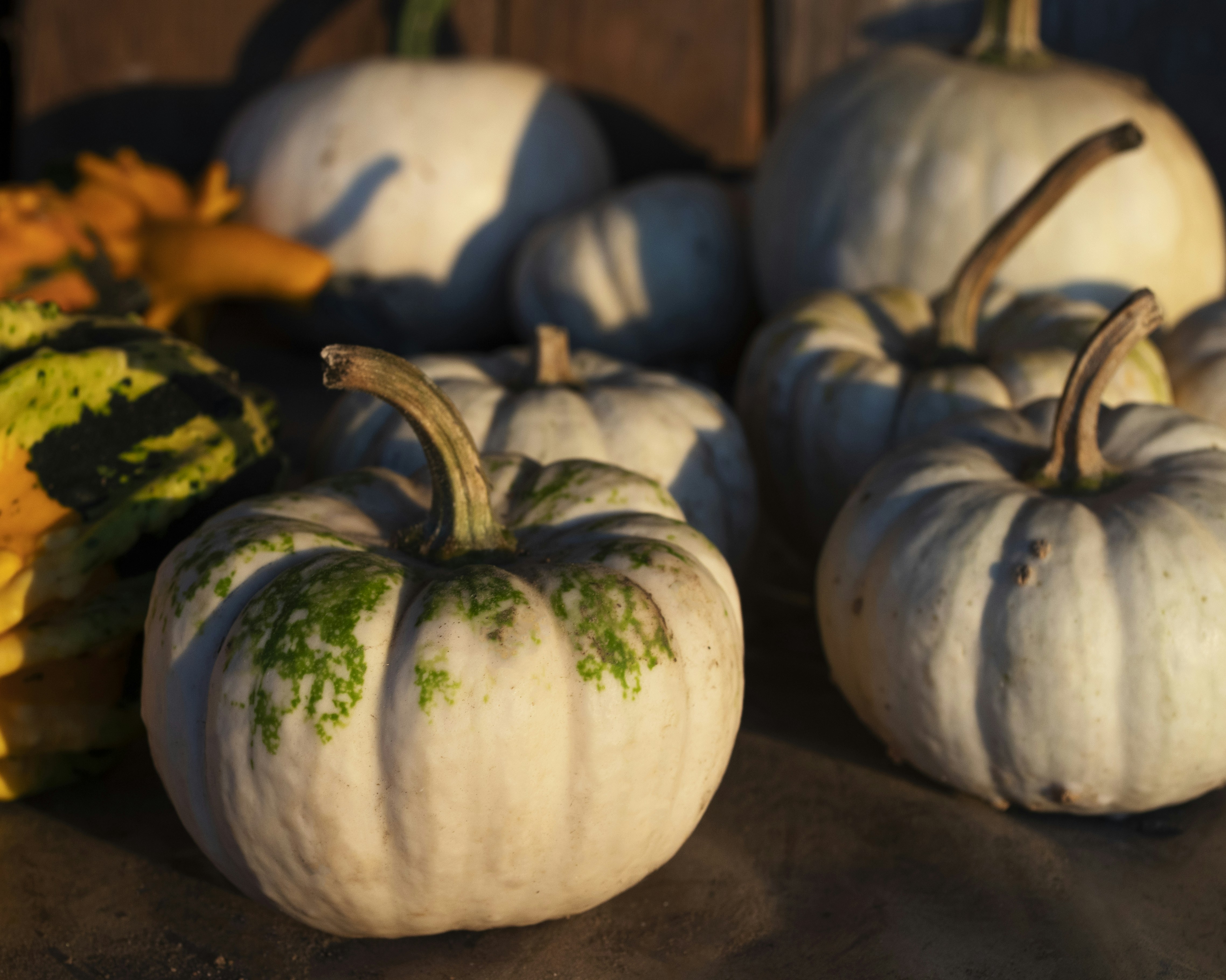 Megan Lee (@meganlee007) | Communauté photos Unsplash