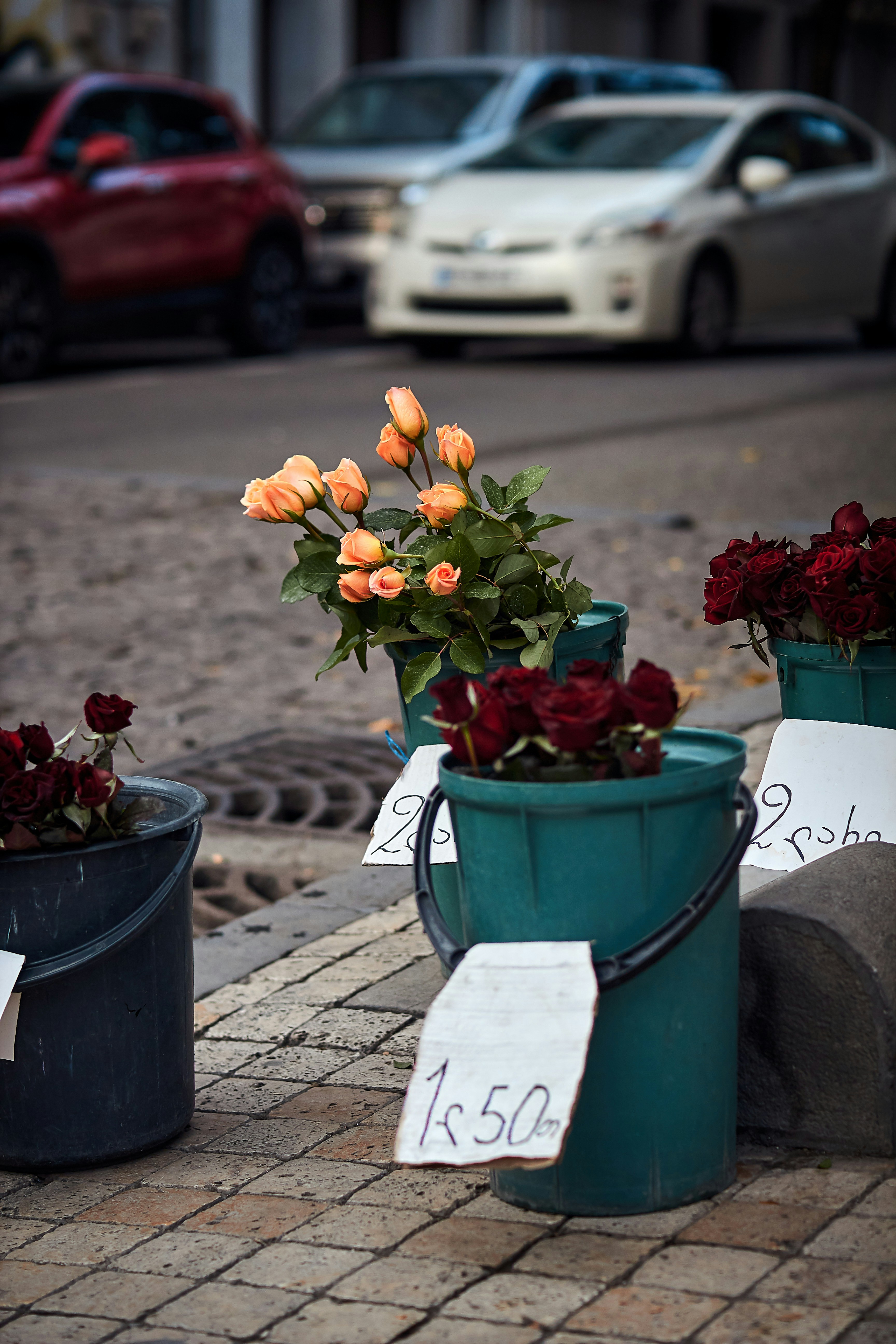 a group of flowers in a green pot on a sidewalk