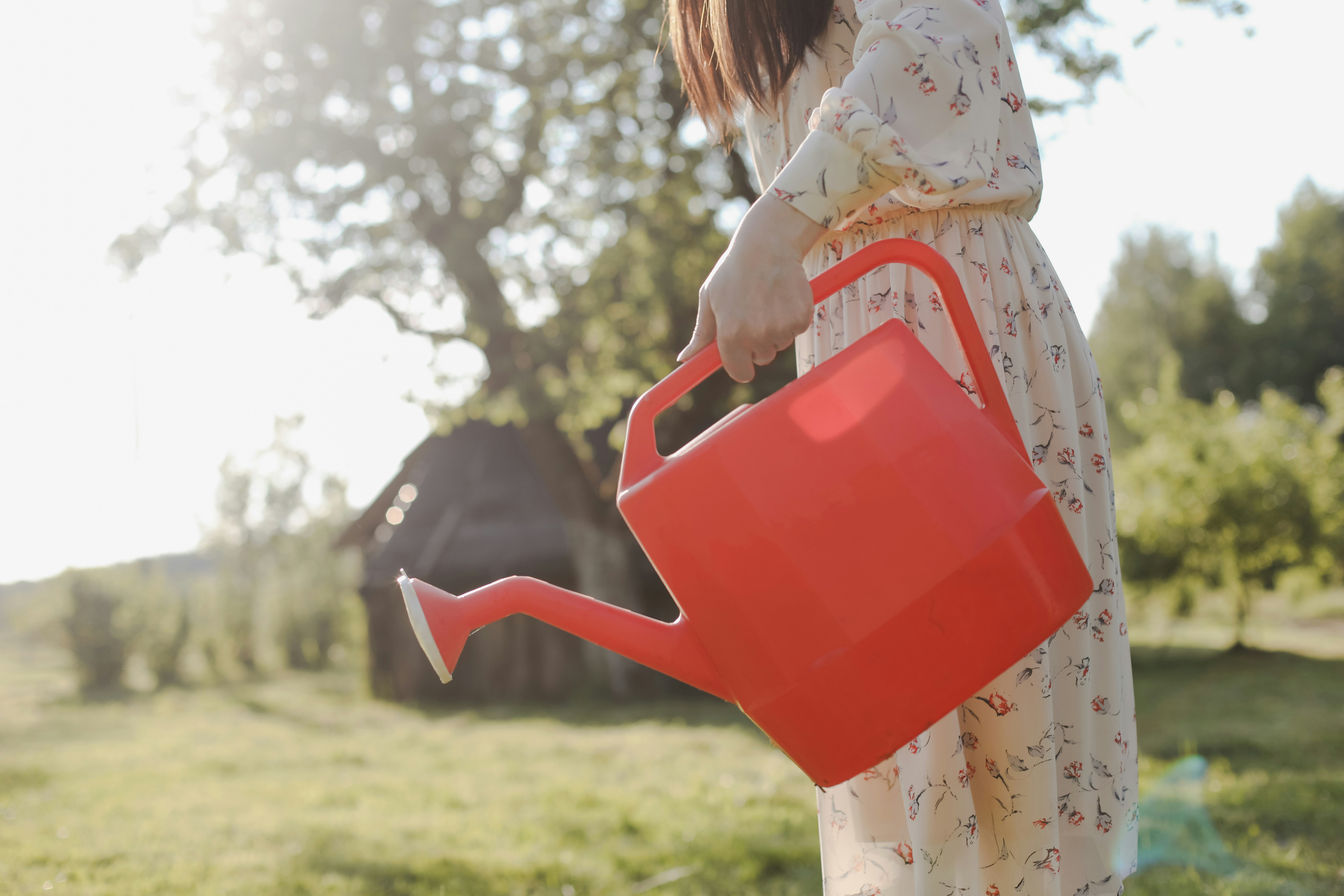 Young female gardener watering the plants in the garden in summer. Young woman with a watering can