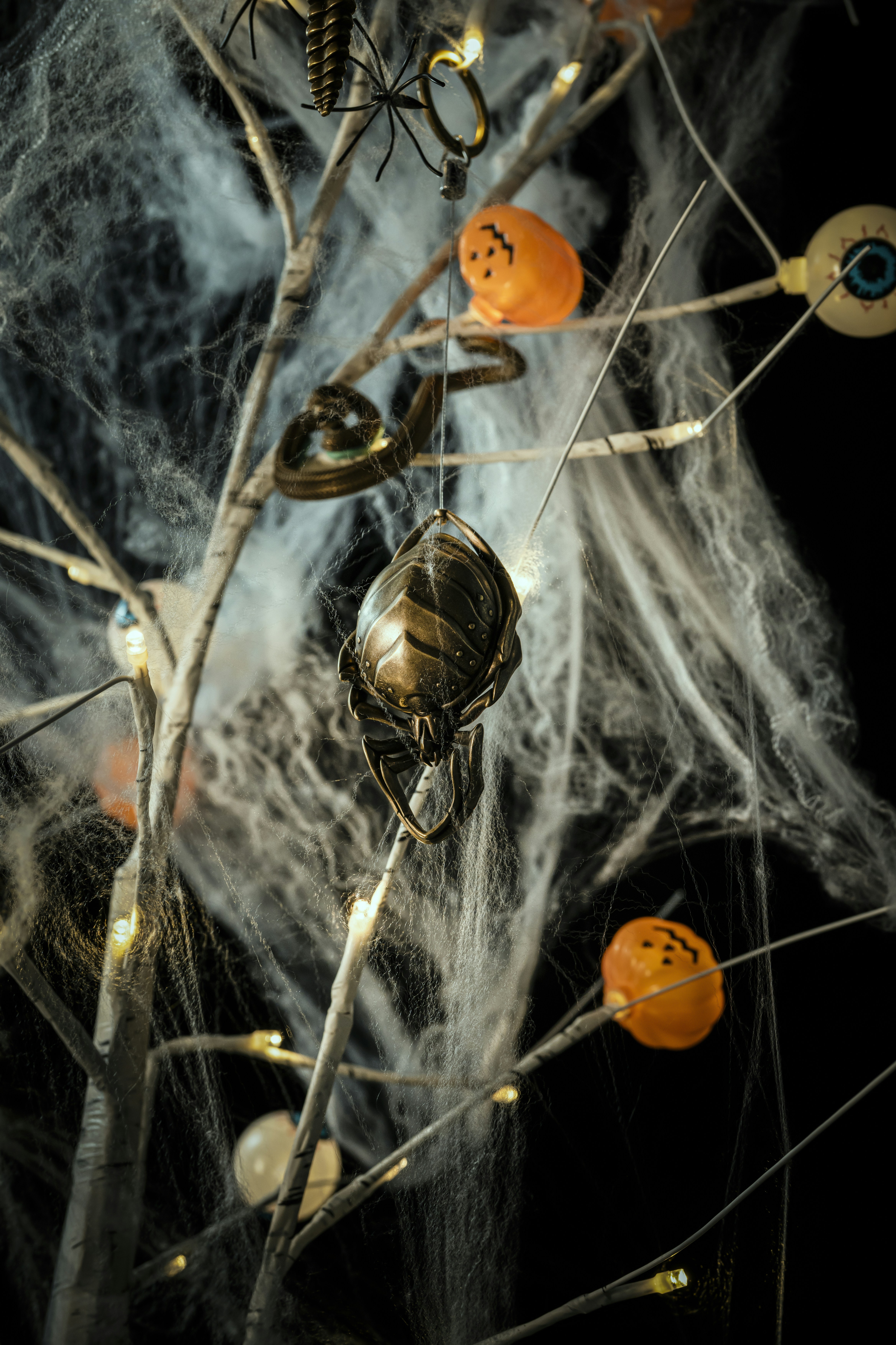 a group of bugs on a web