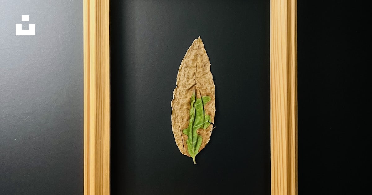 벽에 걸린 그림 사진 Unsplash의 무료 사진 프레임 이미지