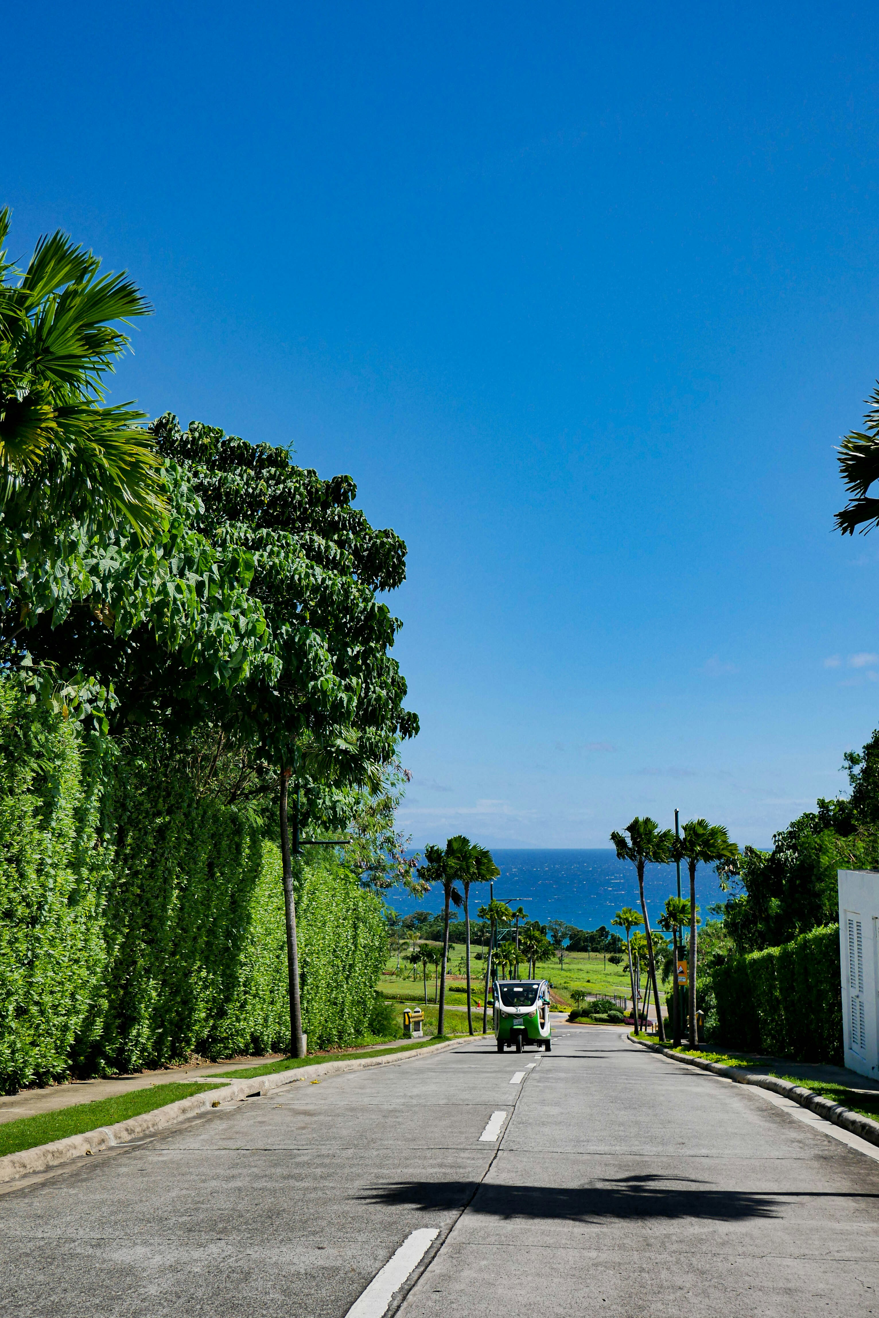 Green Shuttle Toward the Sea: A Palm-Fringed Coastal Boulevard